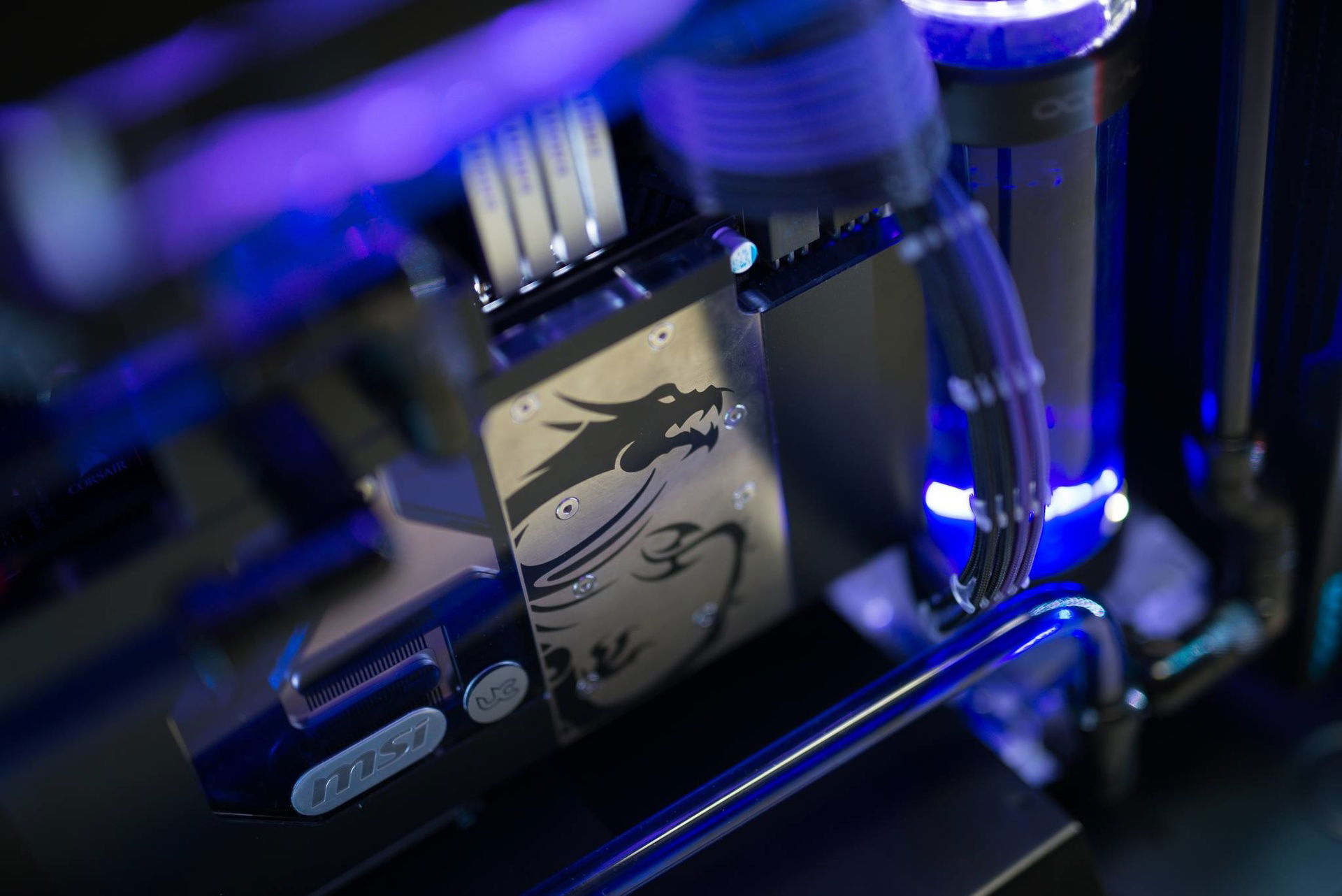 The Violet » builds.gg