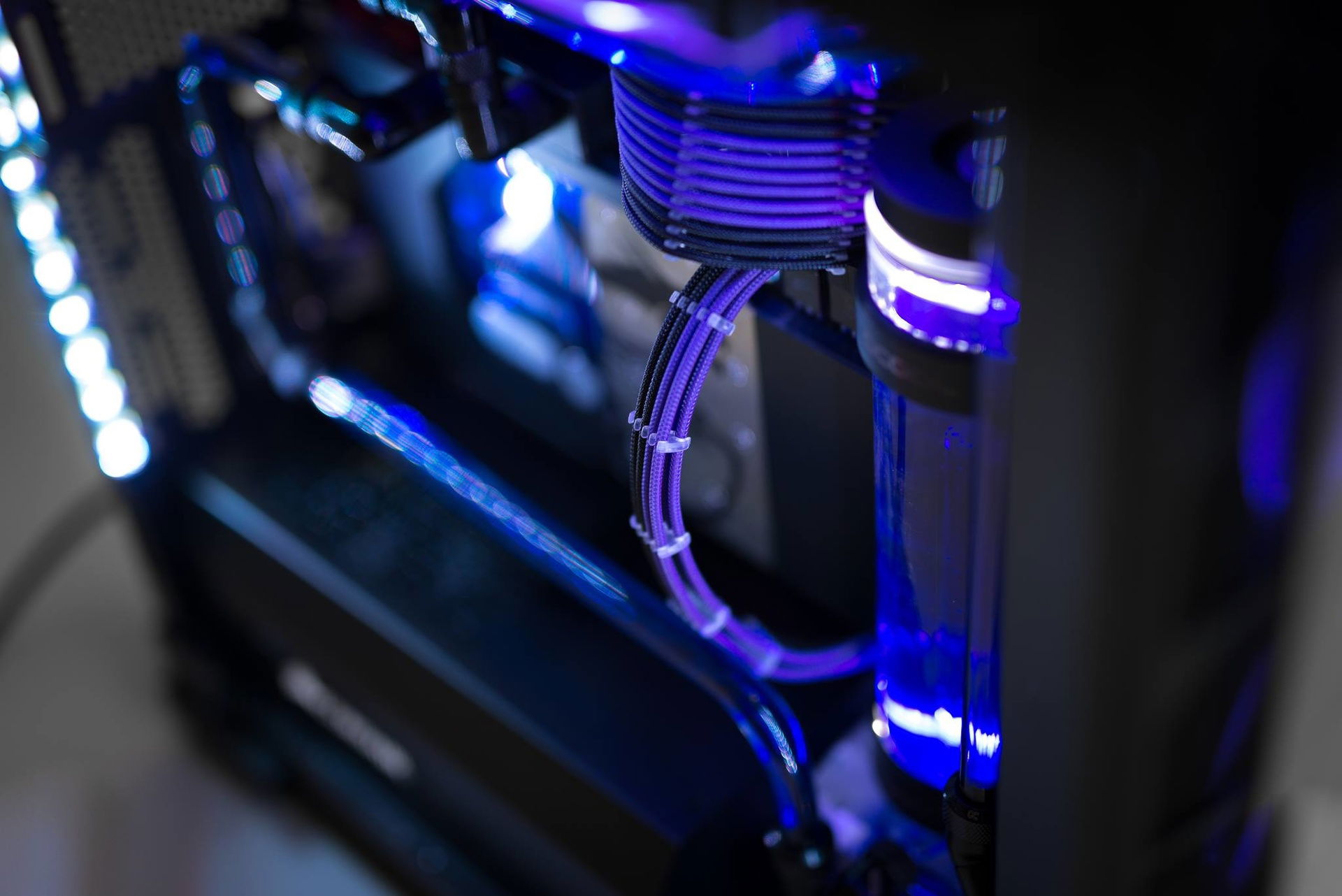 The Violet » builds.gg