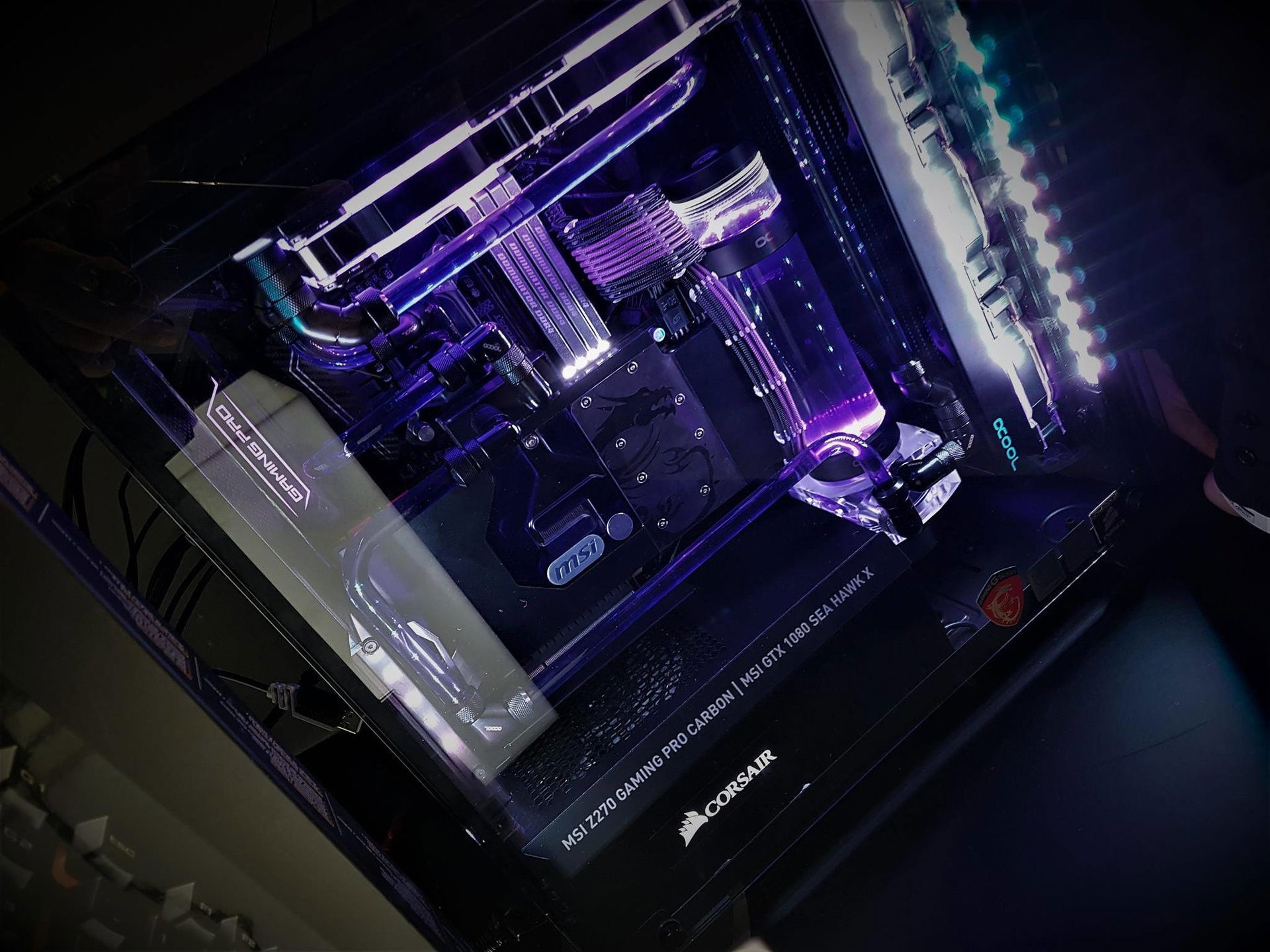 The Violet » builds.gg