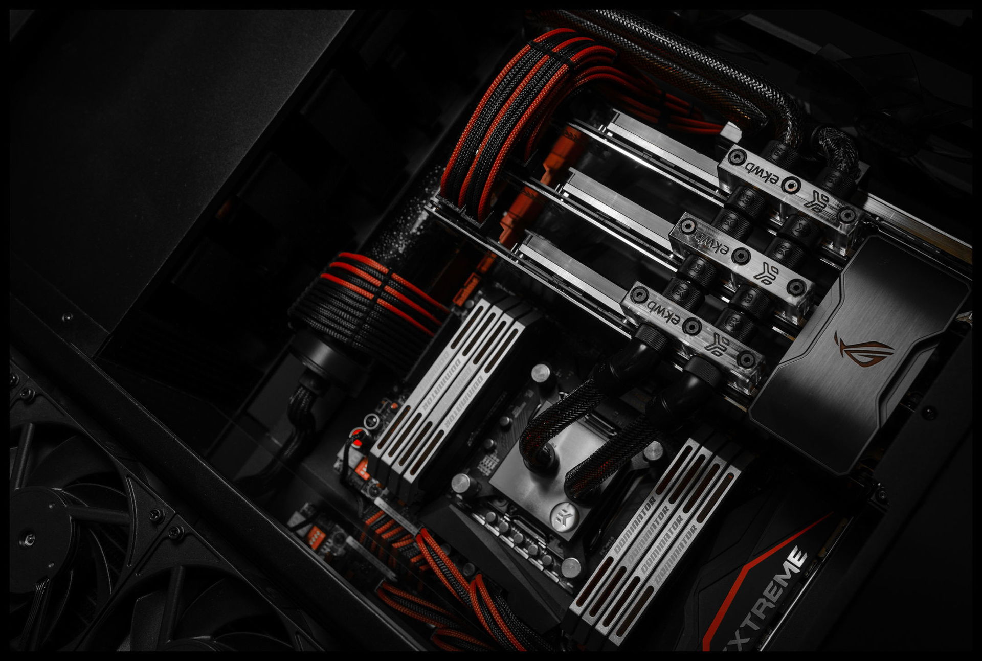 XForma MBX MKII - Λείος » builds.gg