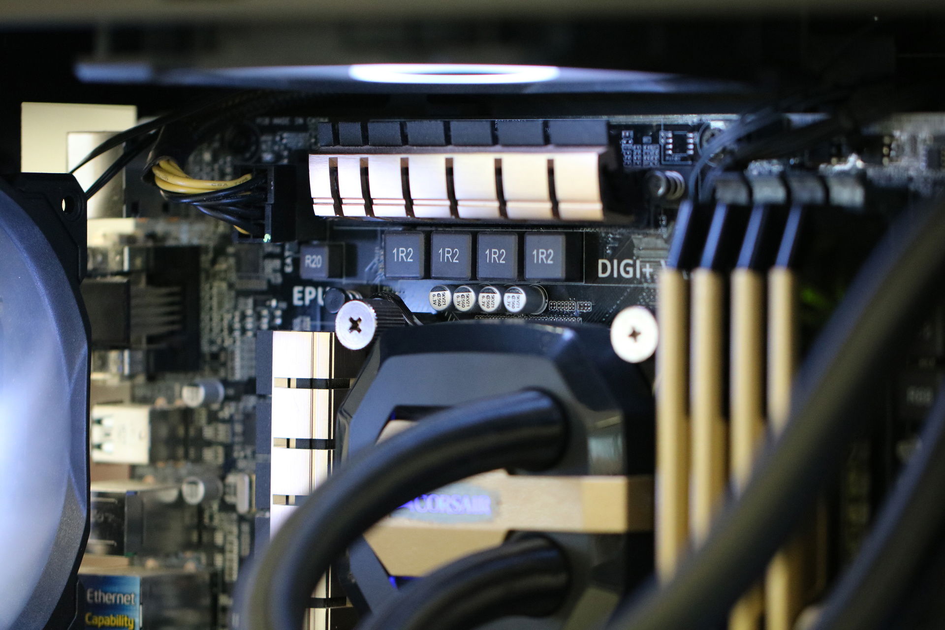 Black And Gold! » builds.gg