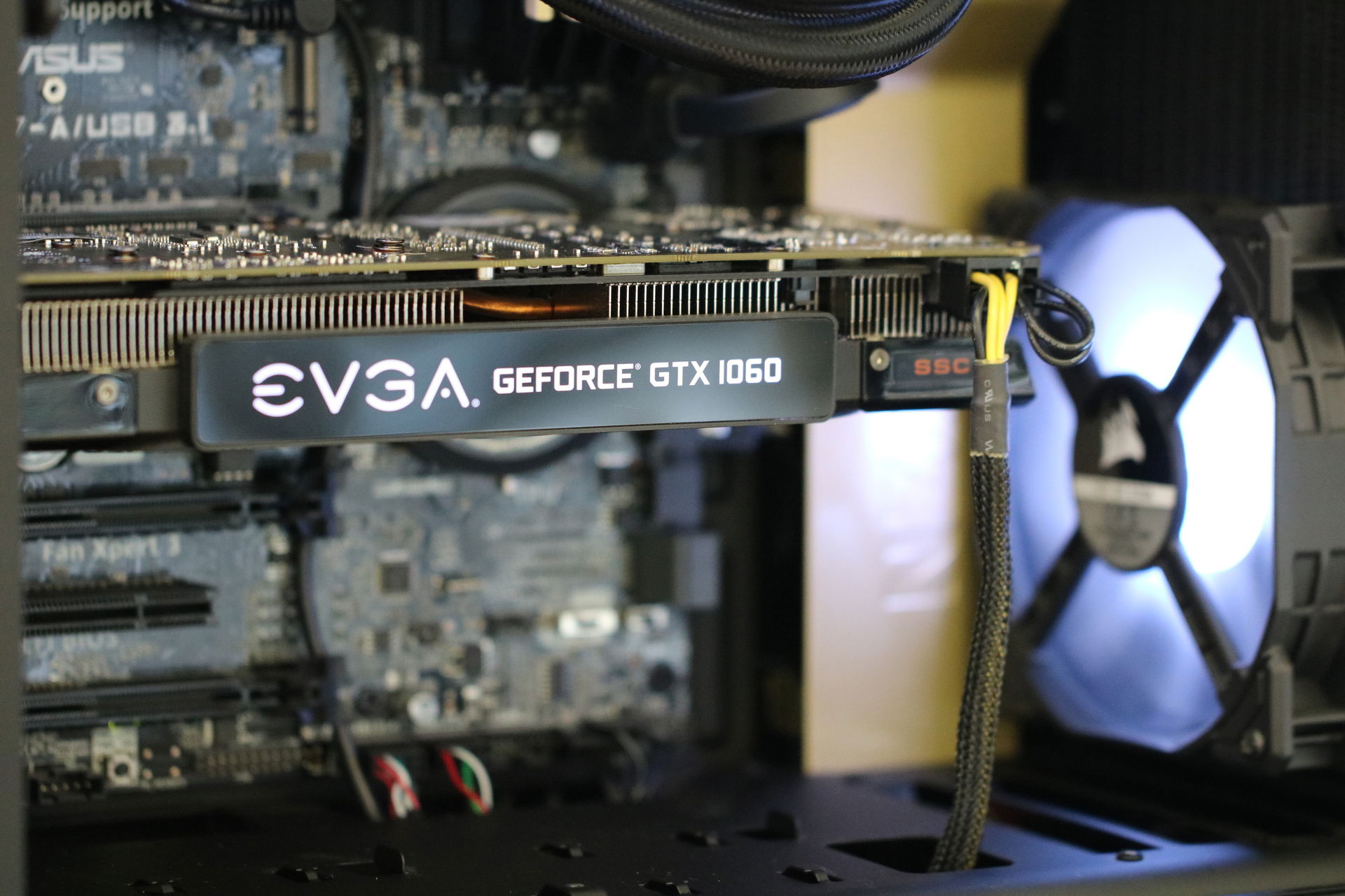 Black And Gold! » builds.gg