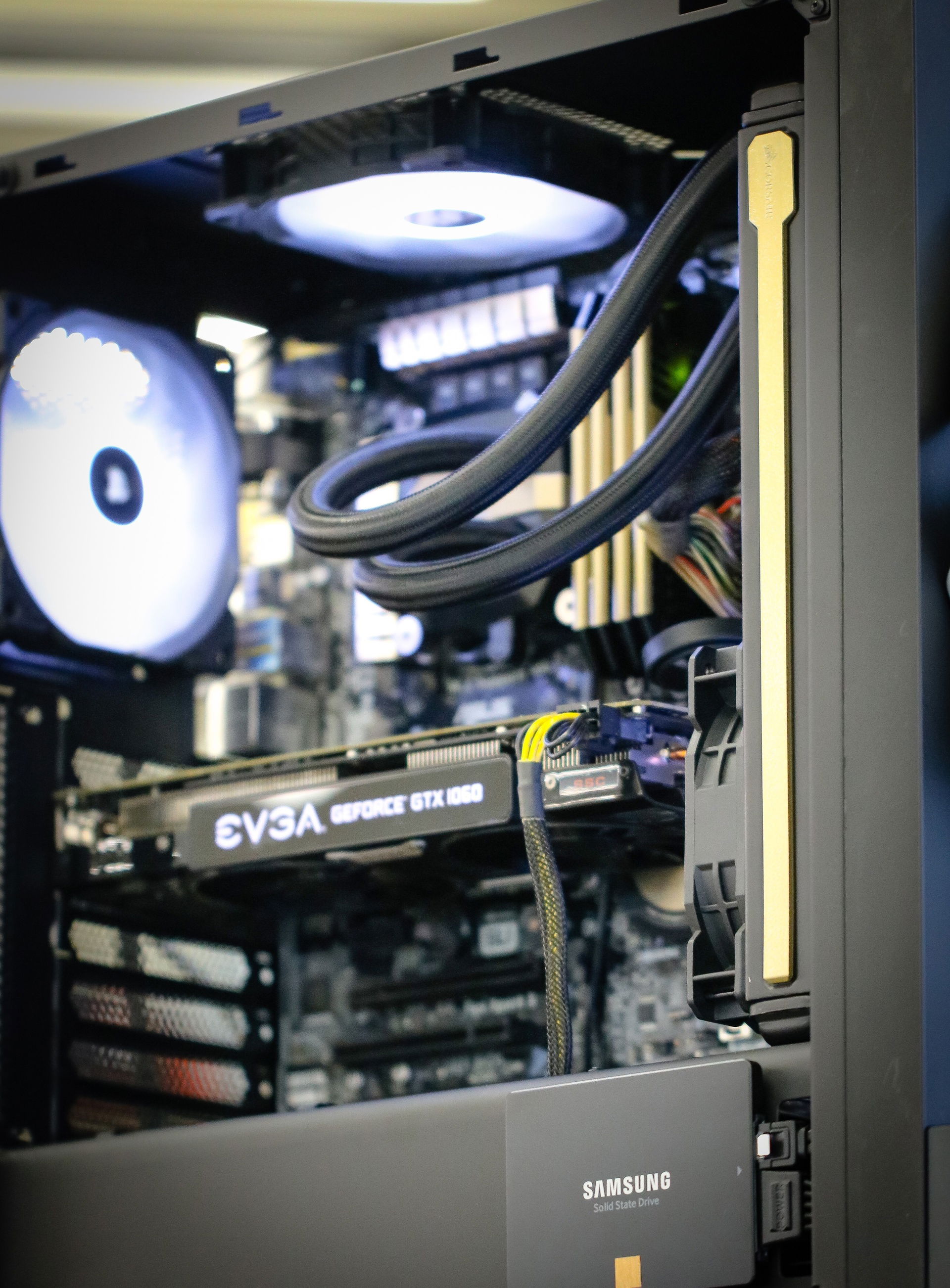 Black And Gold! » builds.gg