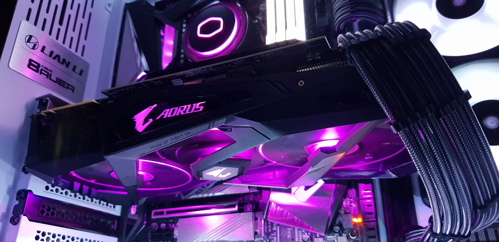 "Arctic Violet" » builds.gg