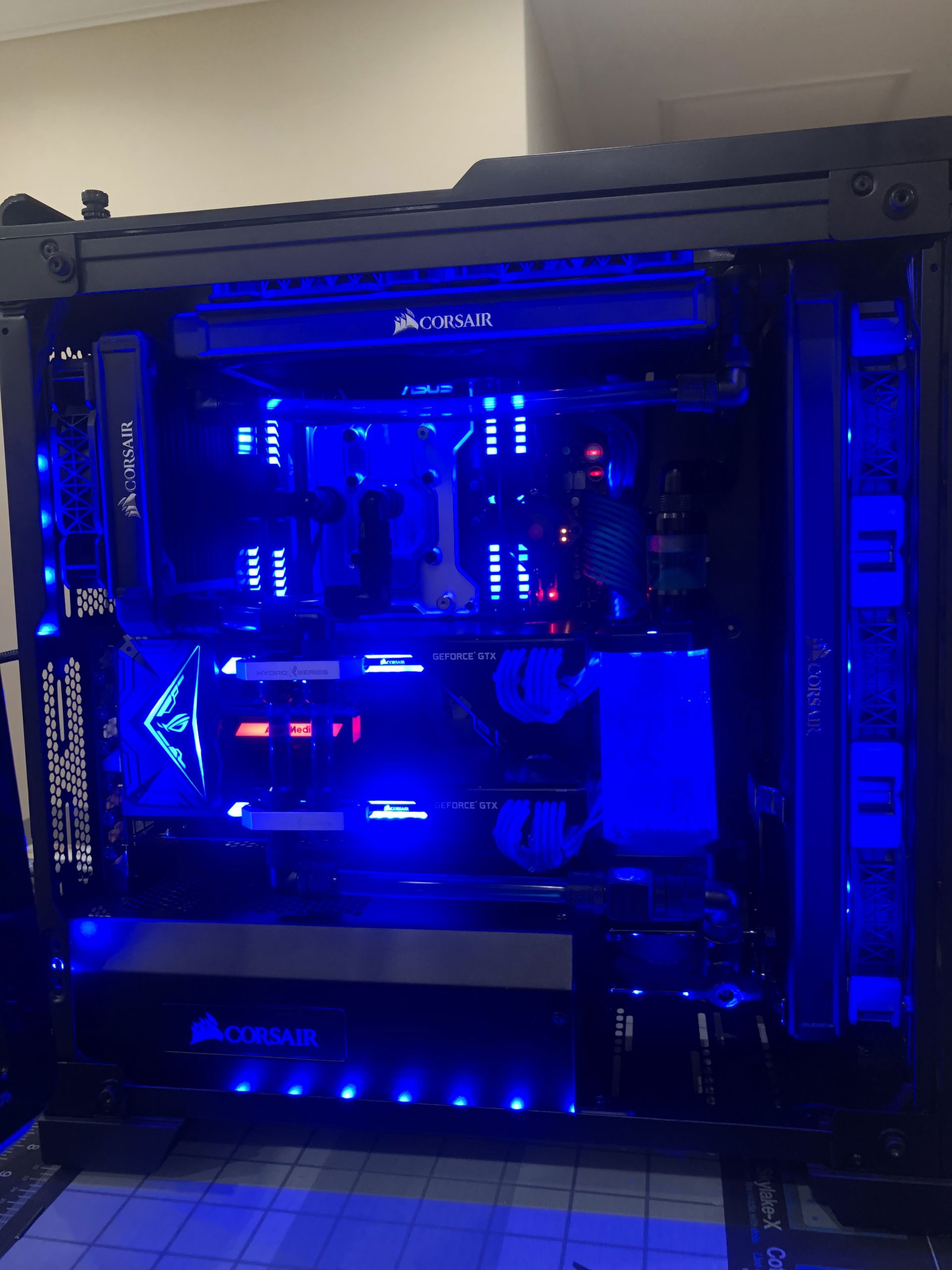 Blue Hydra » builds.gg