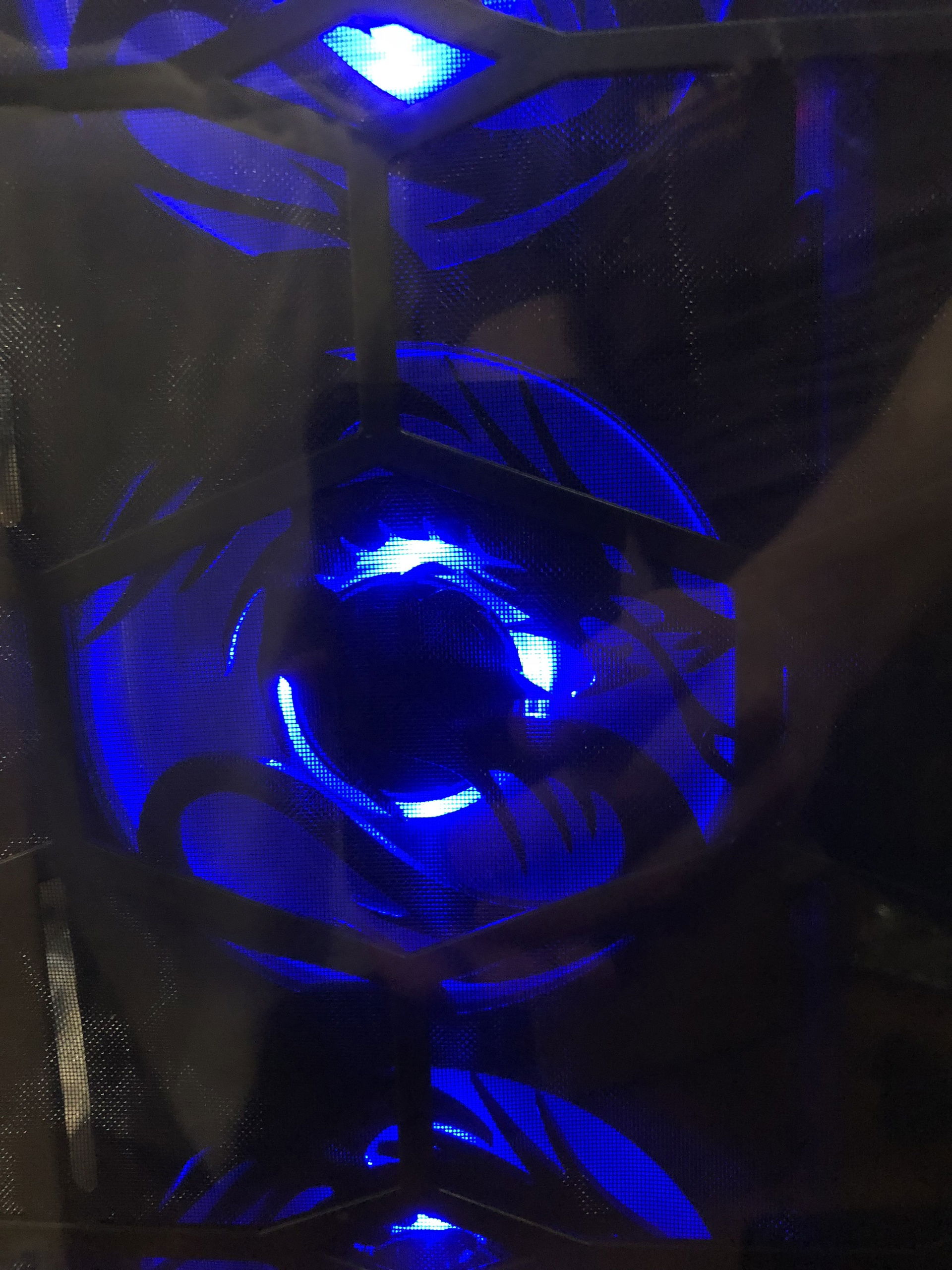 Blue Hydra » builds.gg