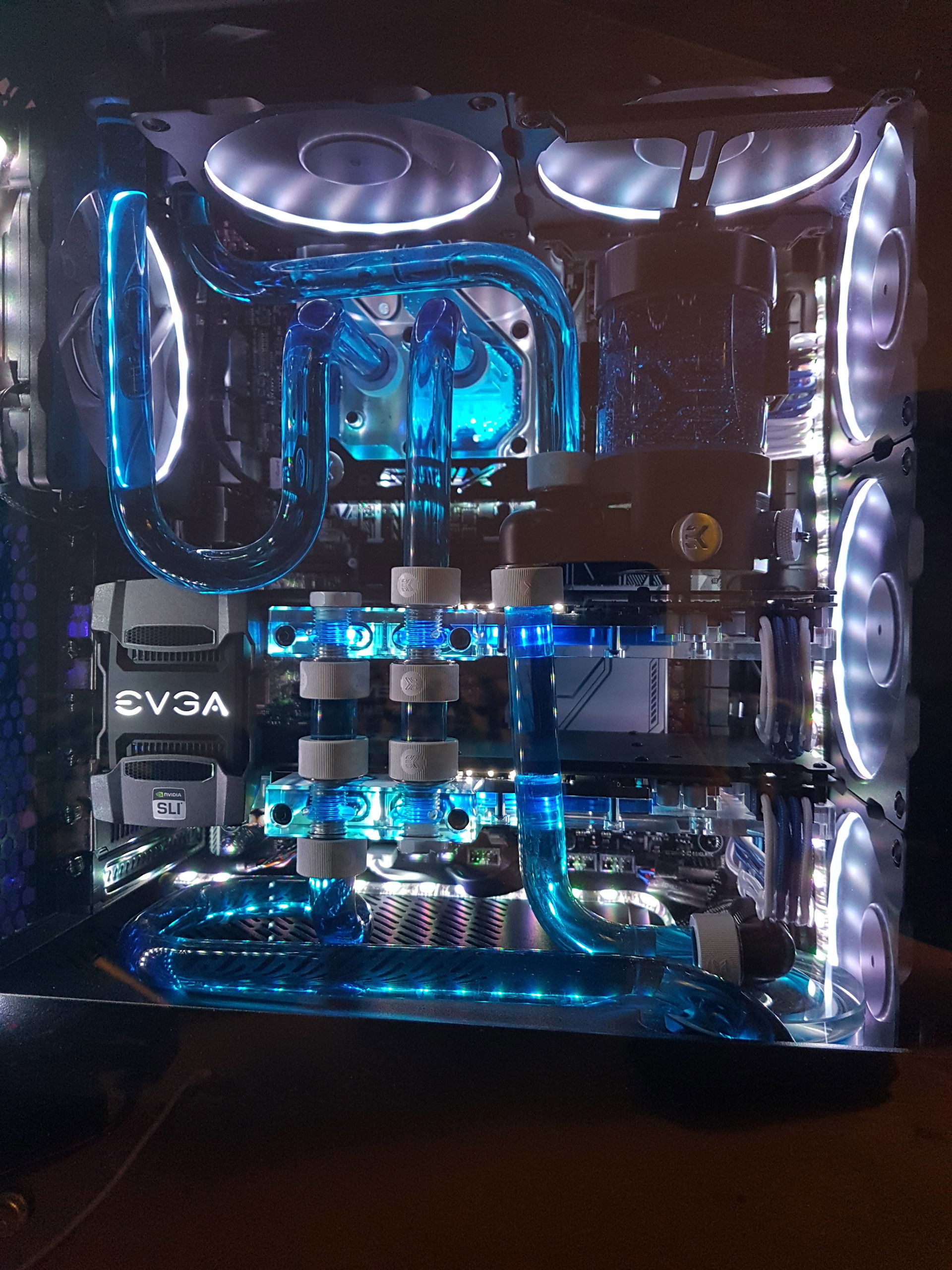 Meshify Custom Liquid SLI » builds.gg