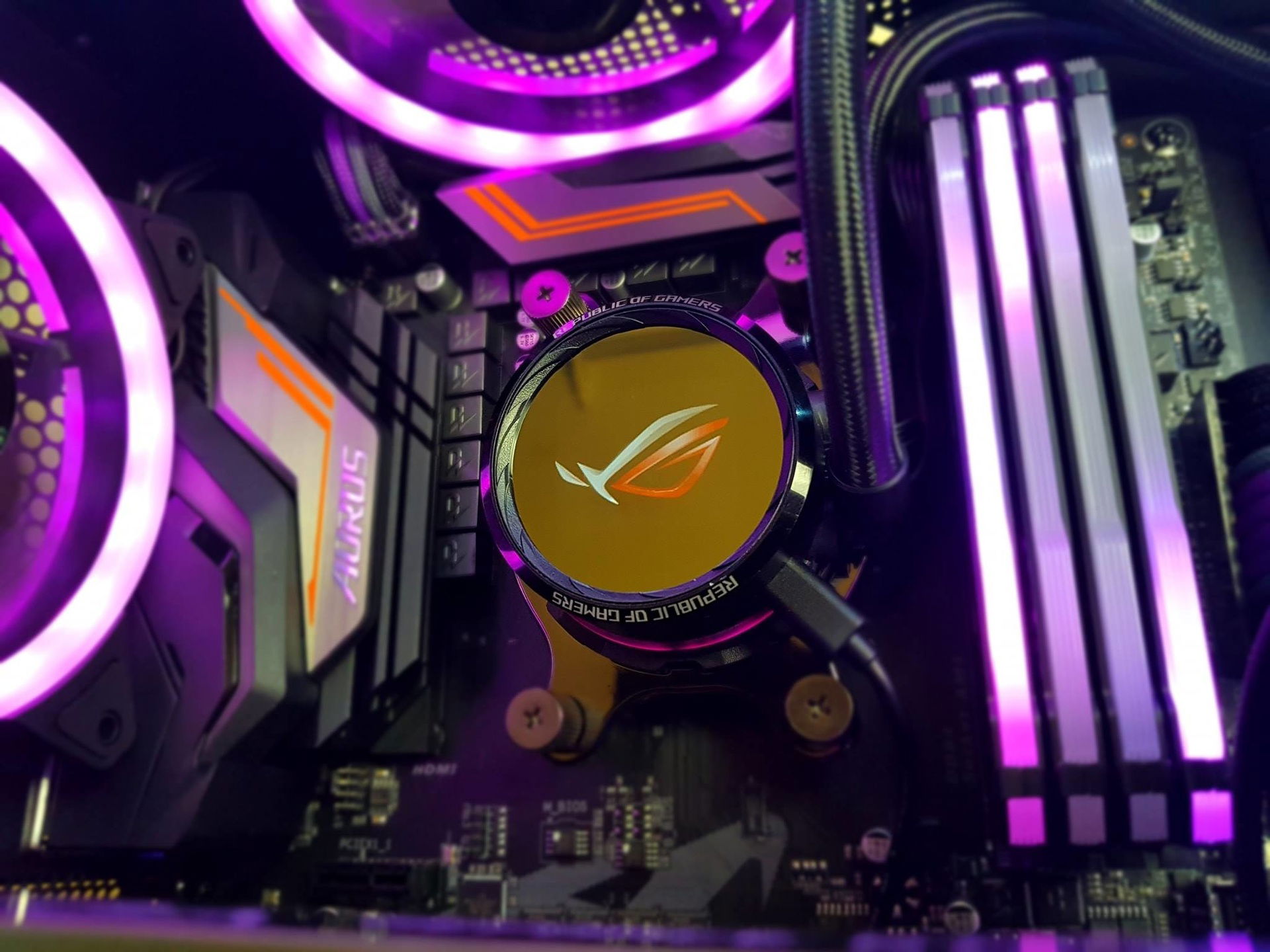 "Simply Purple" » builds.gg