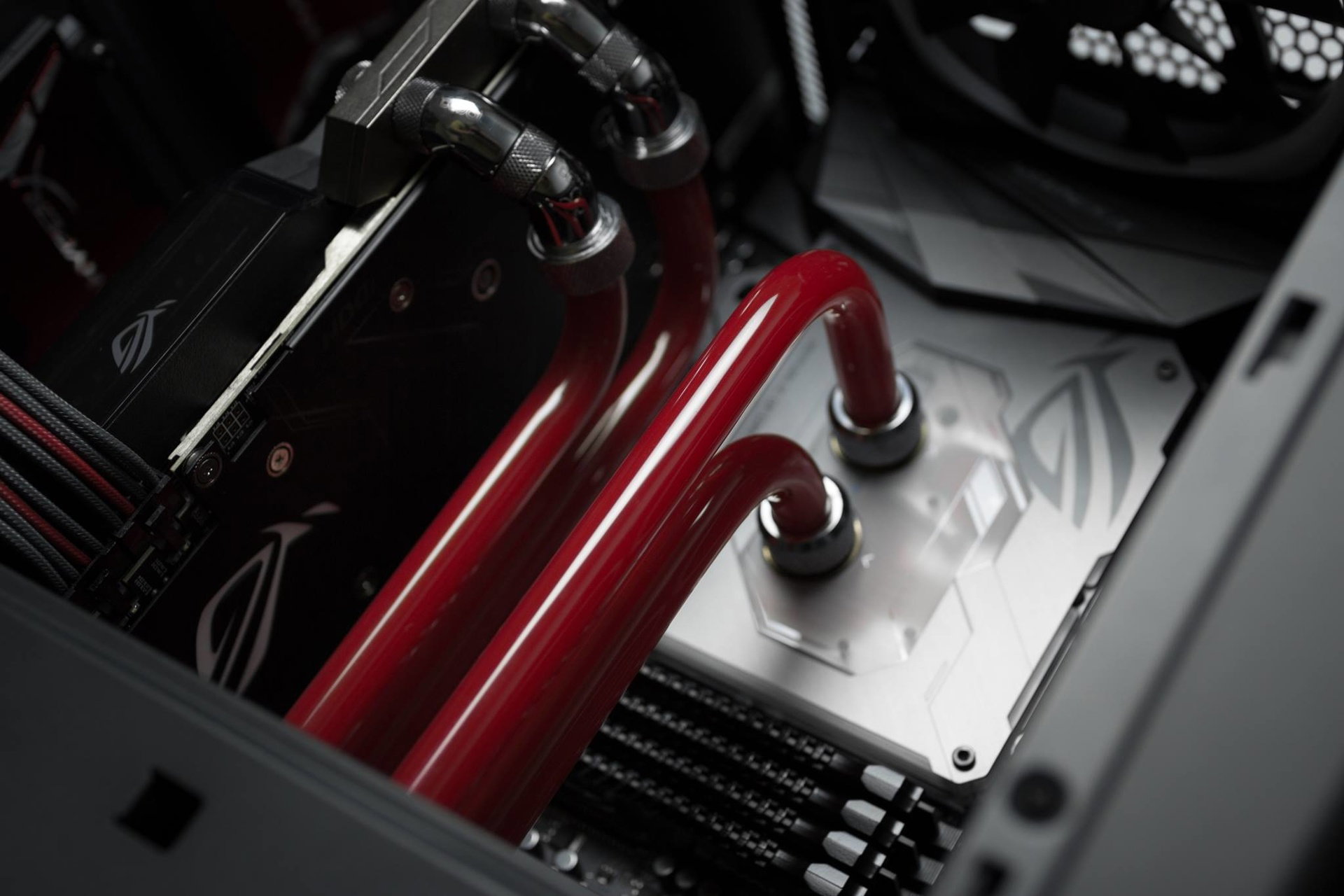 Noctis ROG » builds.gg