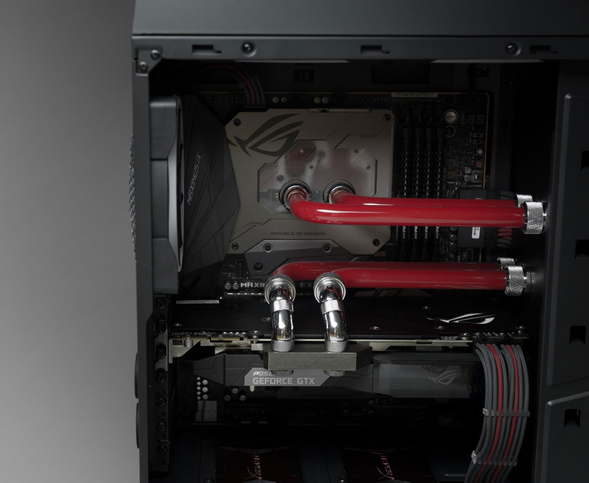 Noctis ROG » builds.gg