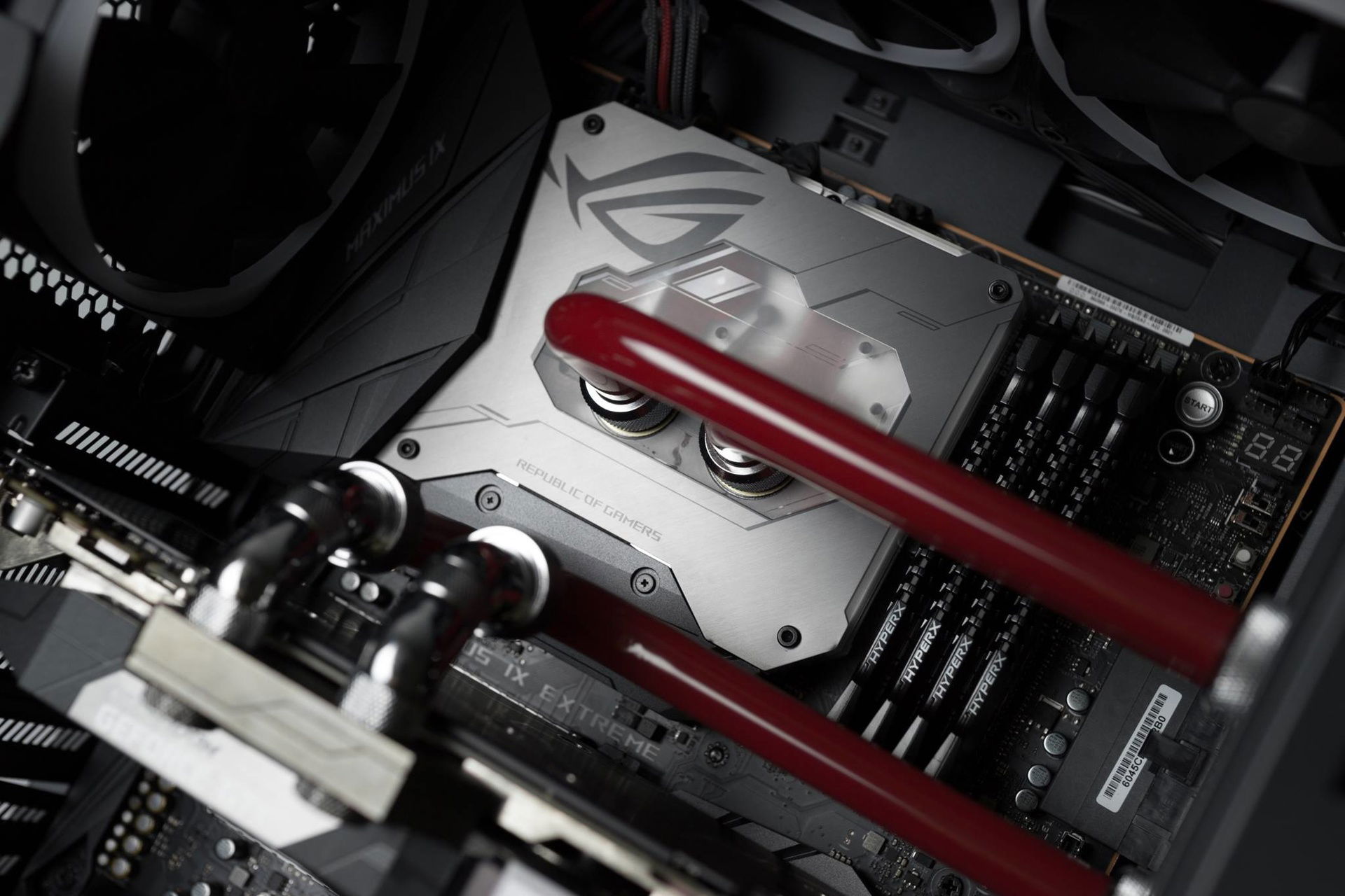 Noctis ROG » builds.gg