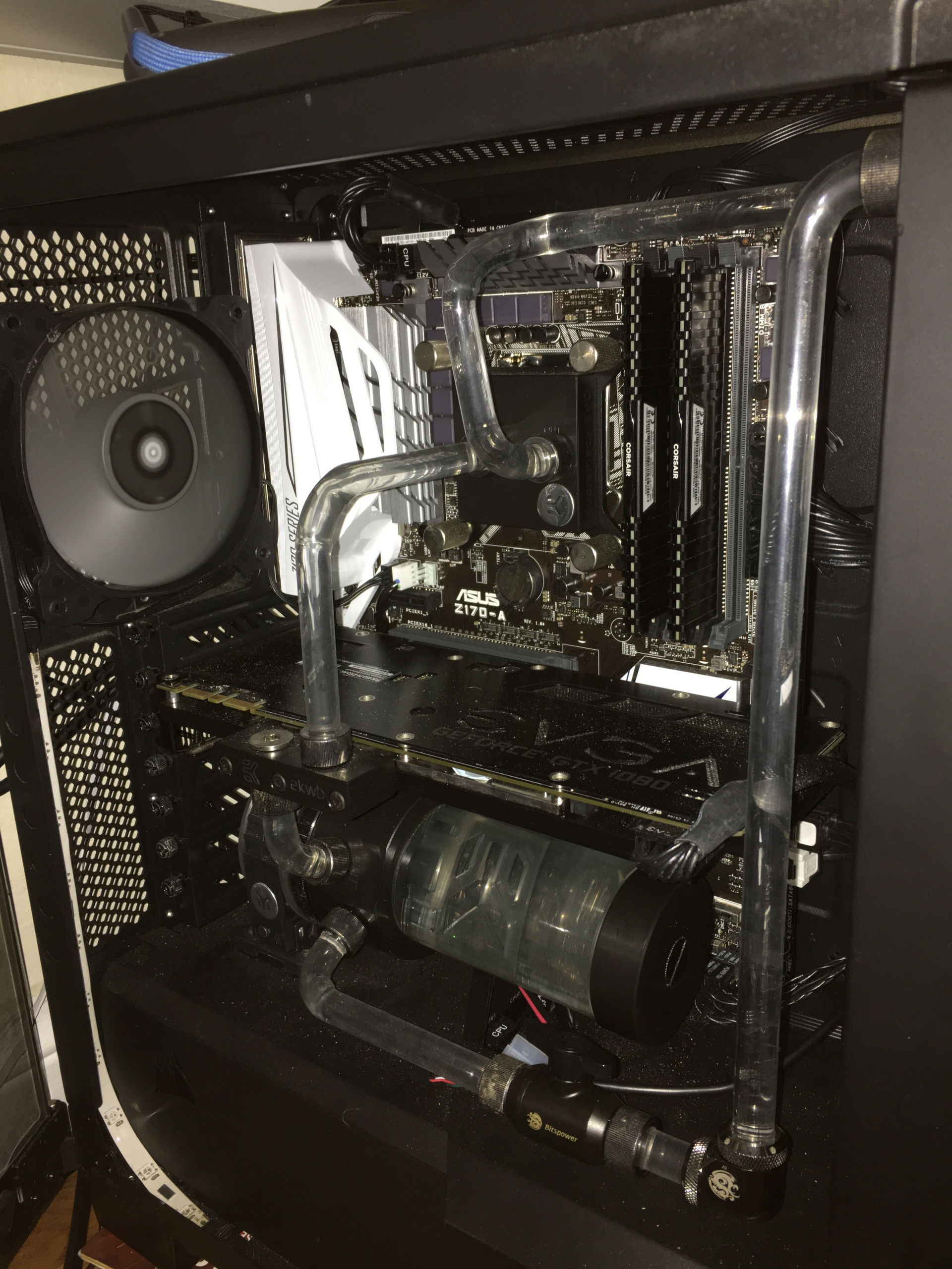 Striker » builds.gg