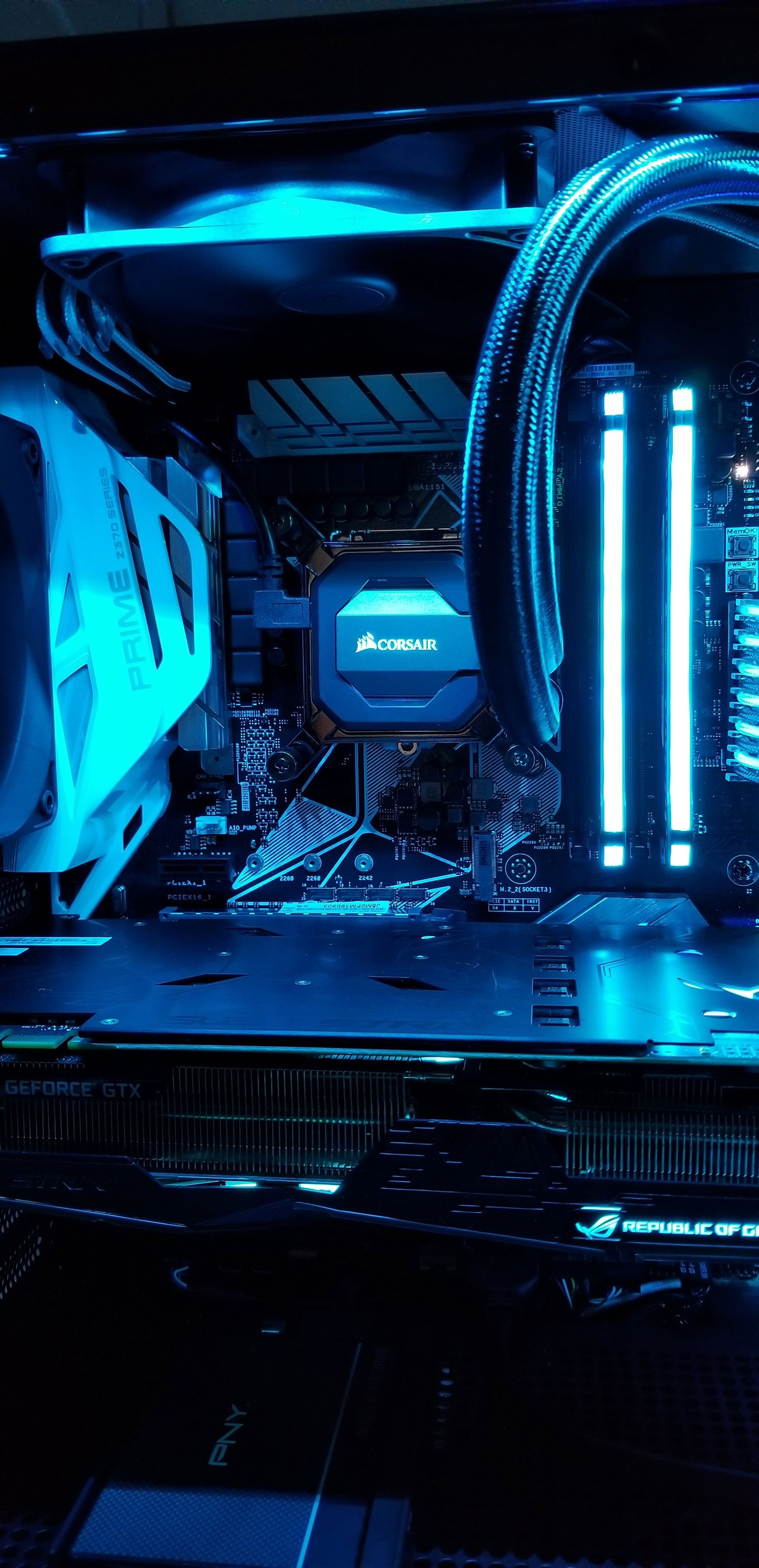 Blue Ice » builds.gg