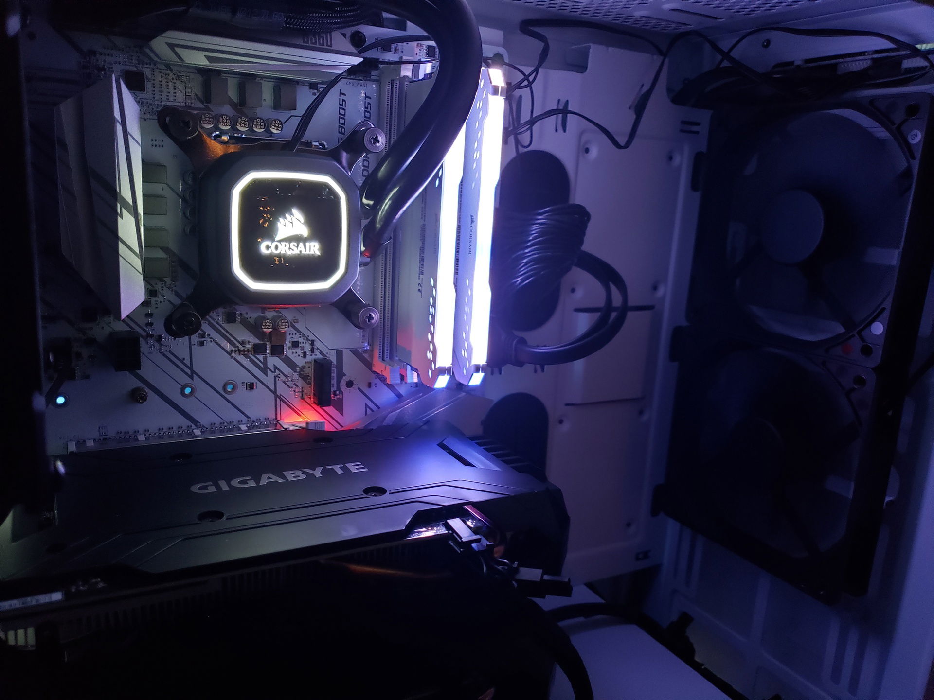 Arctic Themed Build » builds.gg