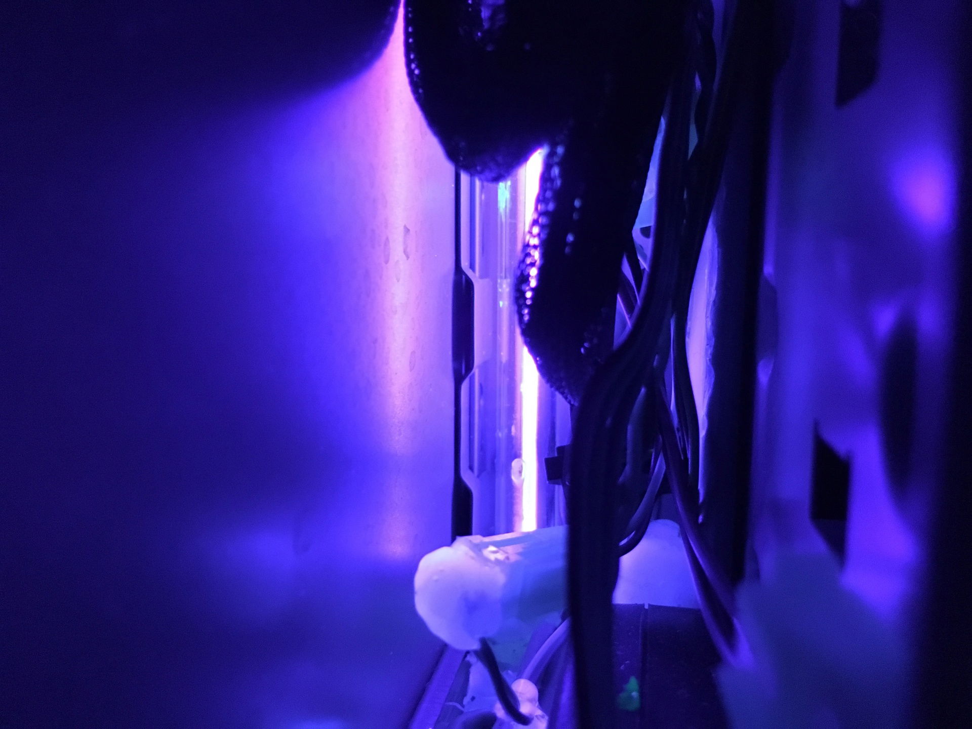 Windows XP Retro-PC » builds.gg