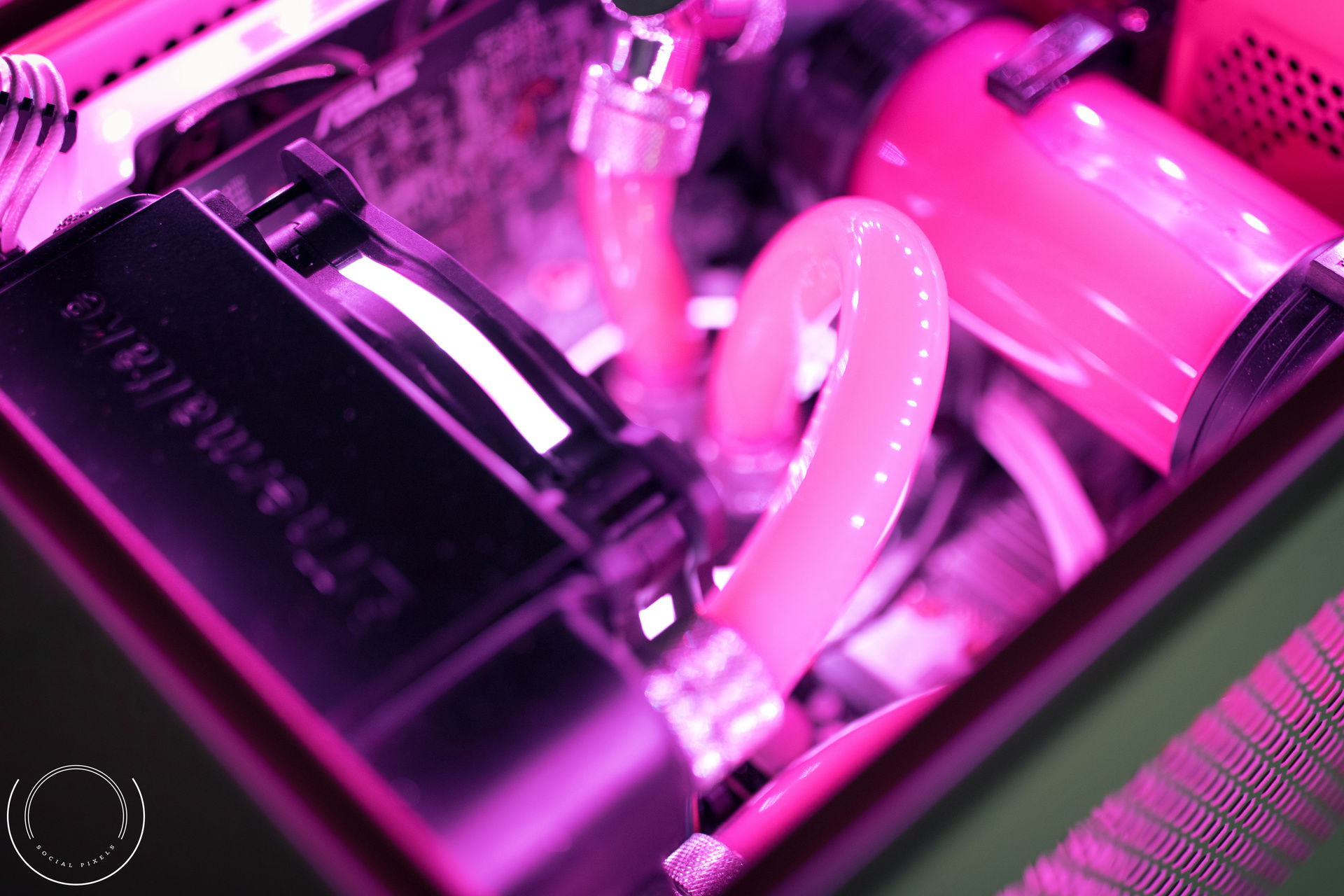 Pink Power » builds.gg