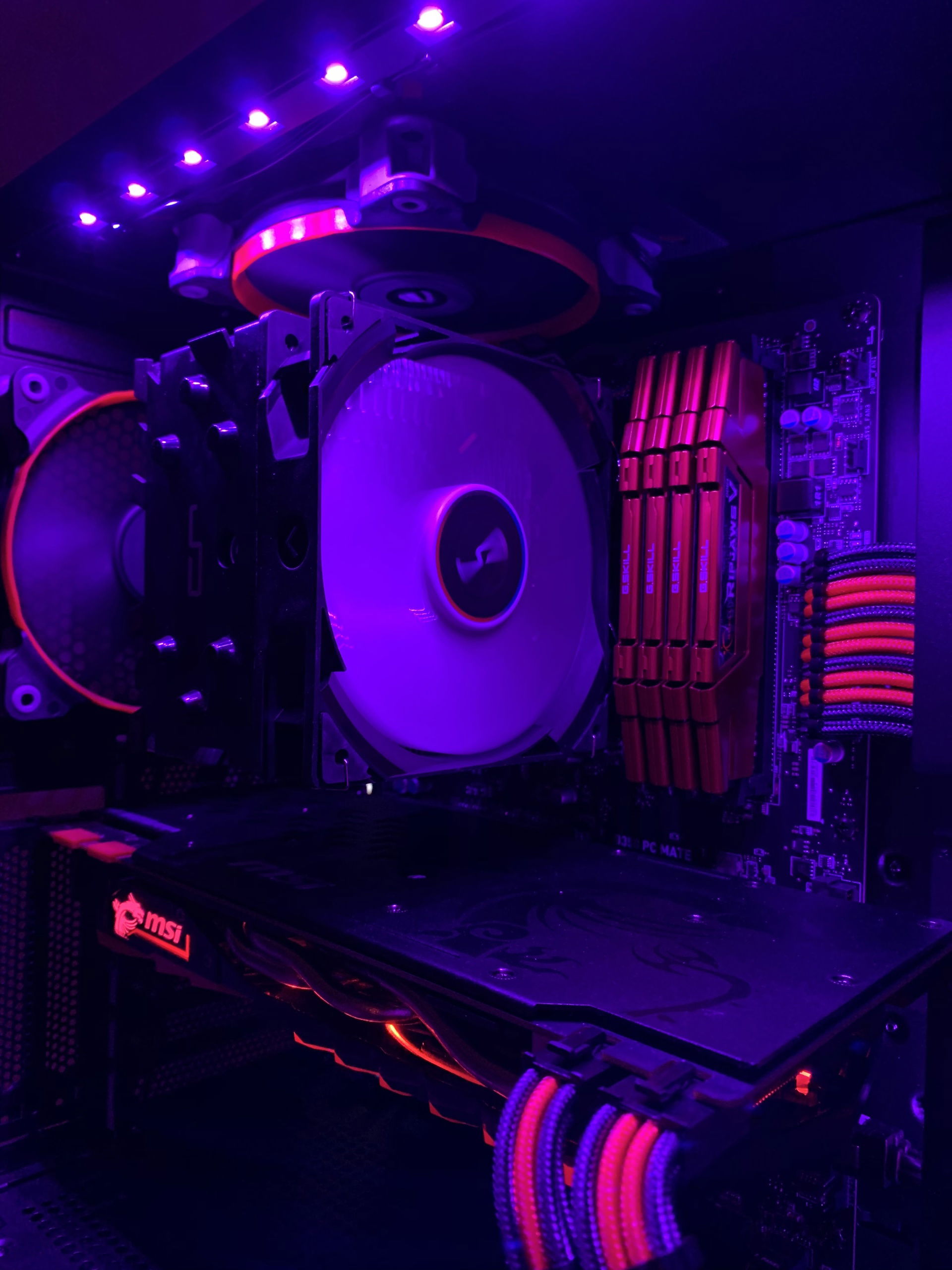Purple/Red Setup » builds.gg