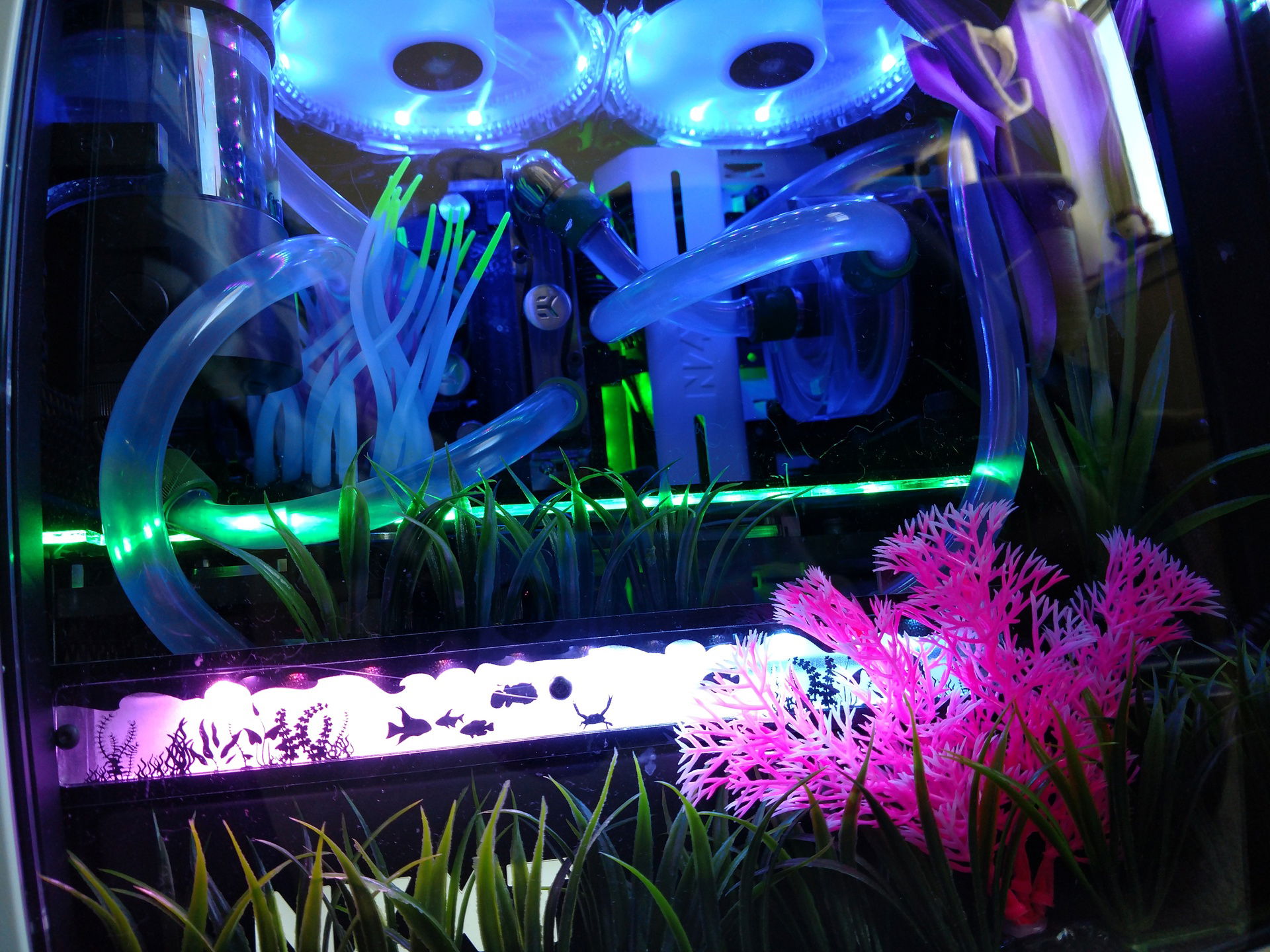 Neptune » builds.gg