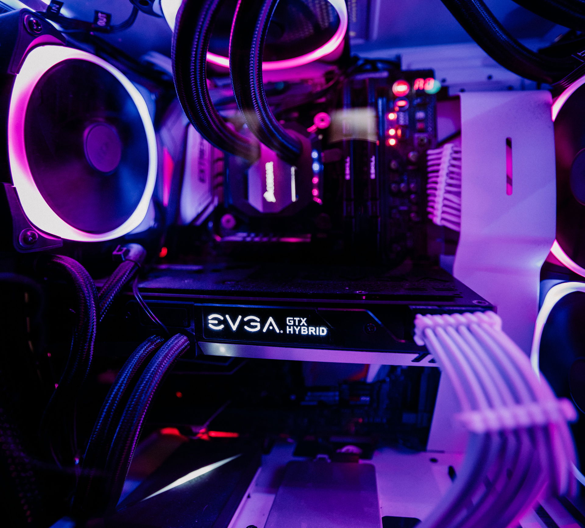 Neon Rig » builds.gg