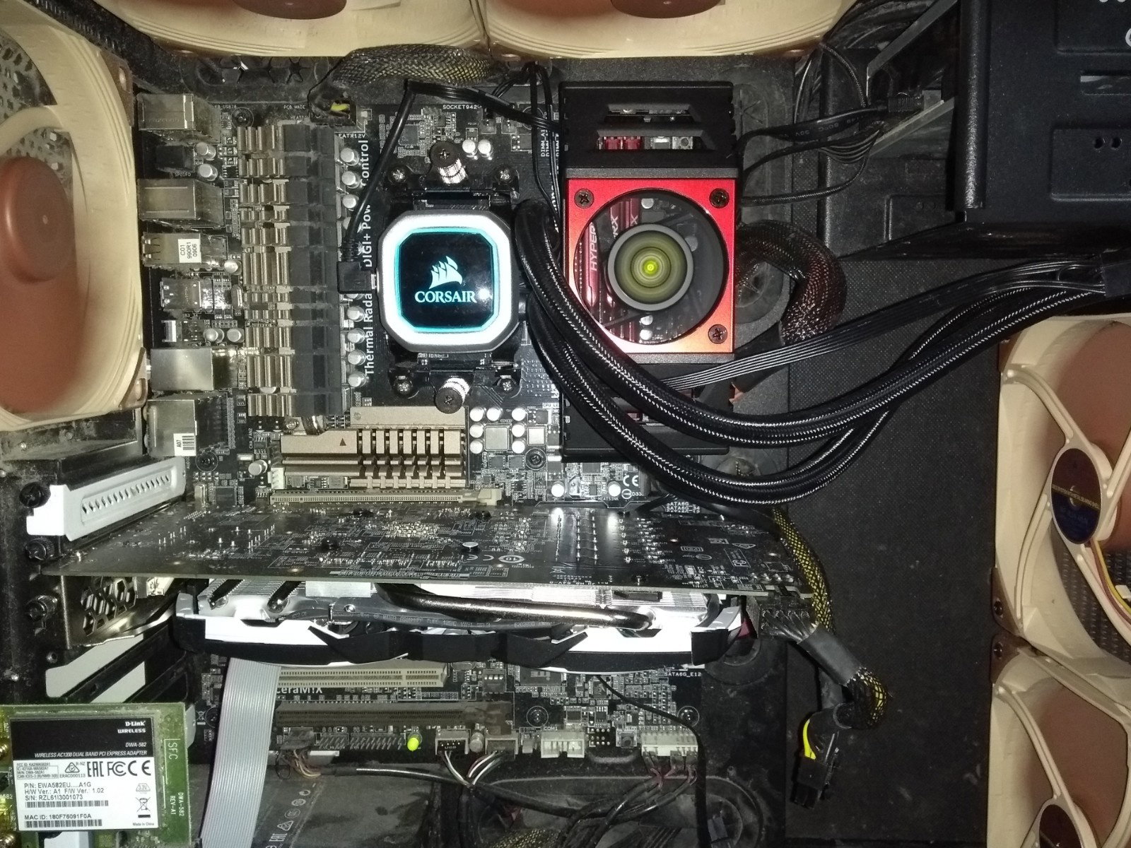 Primal's Sabertooth » builds.gg
