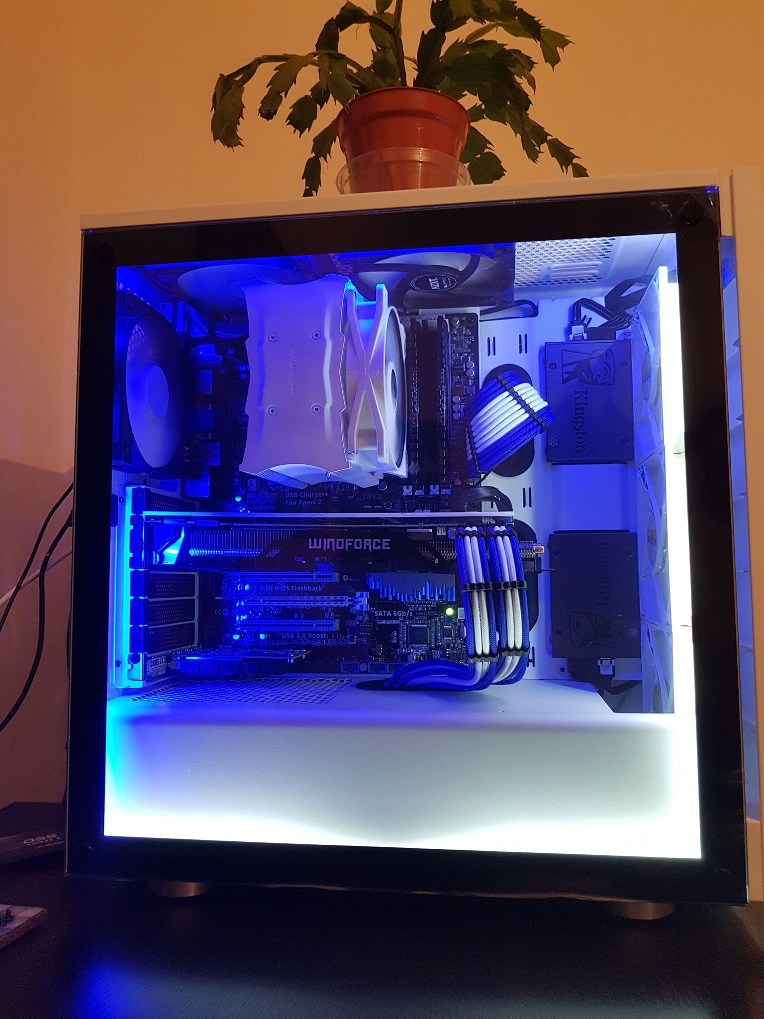Budget white and blue » builds.gg