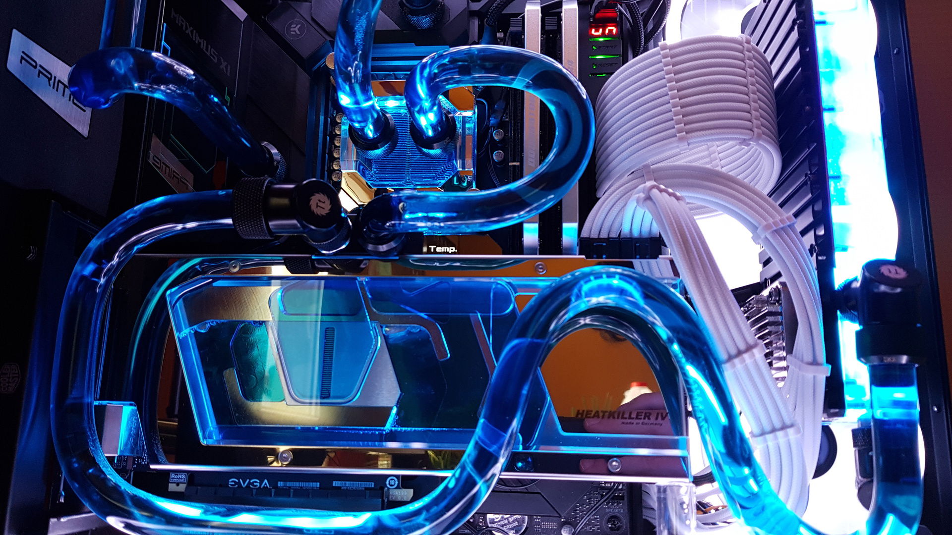 Rainbow Prime » builds.gg