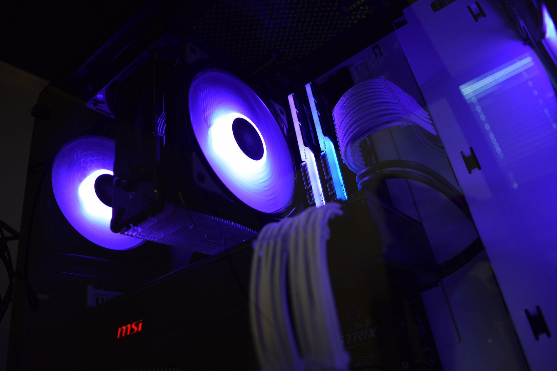 "OREO" TEAM RED BUILD 2019 » builds.gg