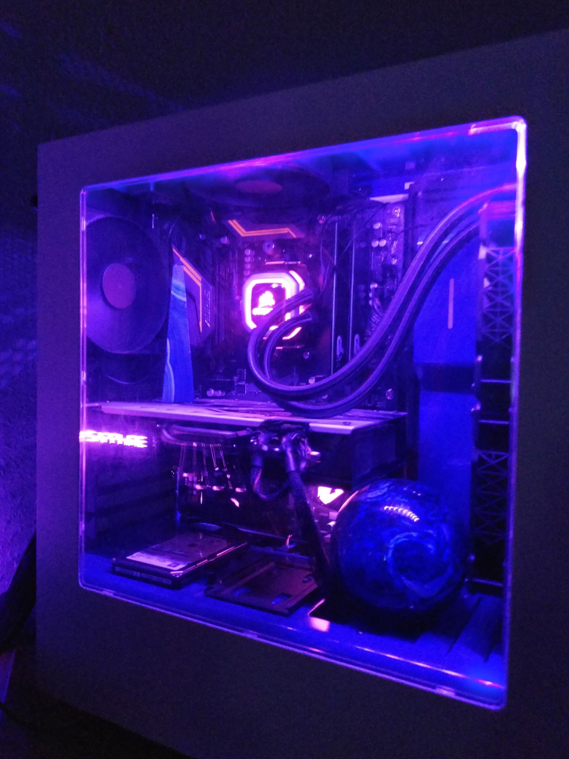 The Purple Beast » builds.gg
