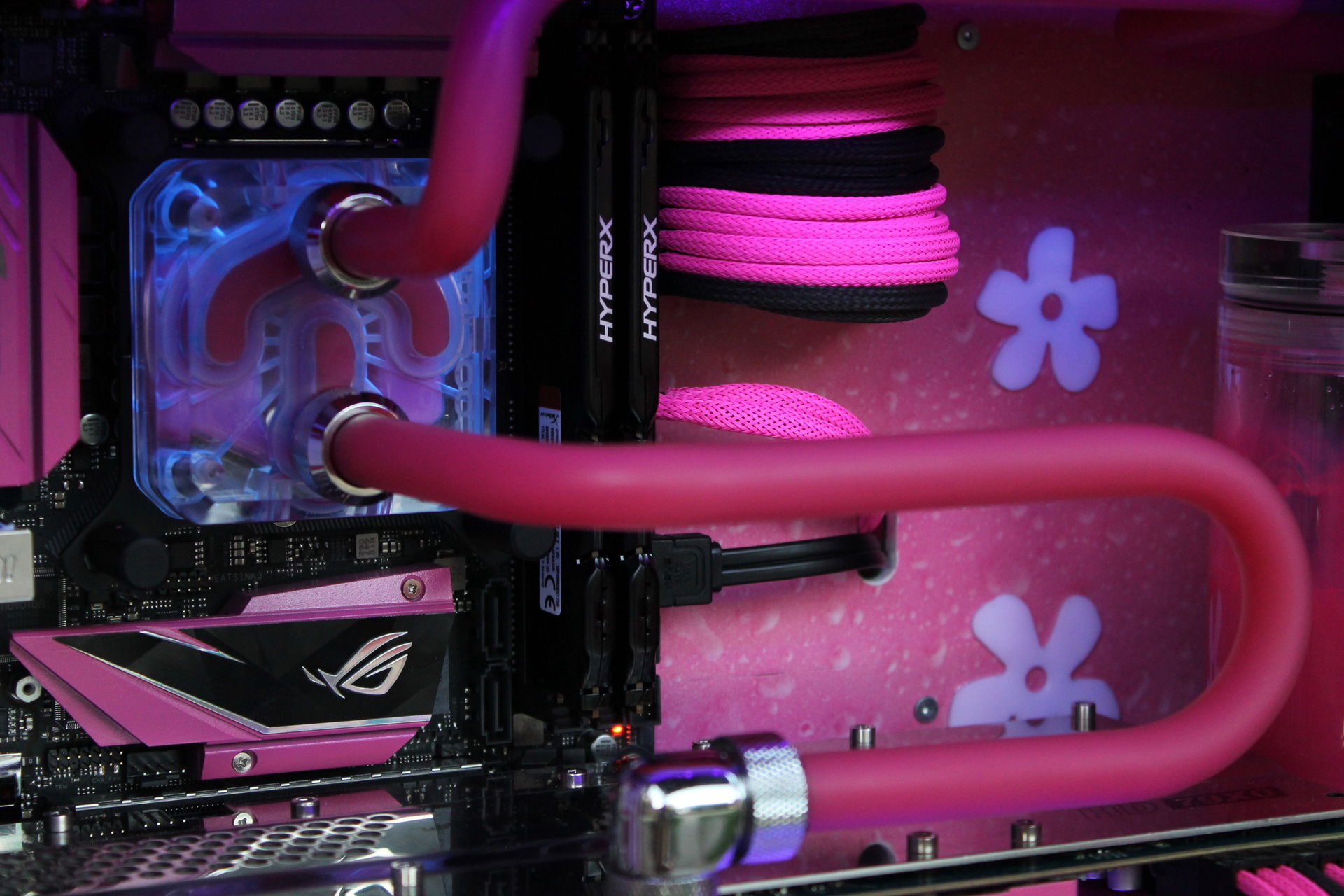 Hello Kitty » builds.gg