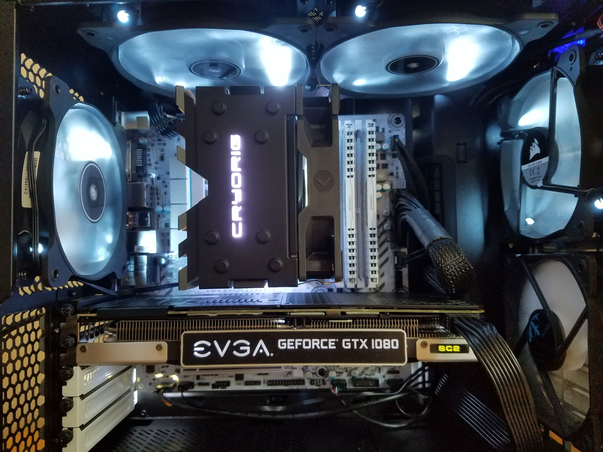 Hedgehog Lunchbox (First Build) » builds.gg