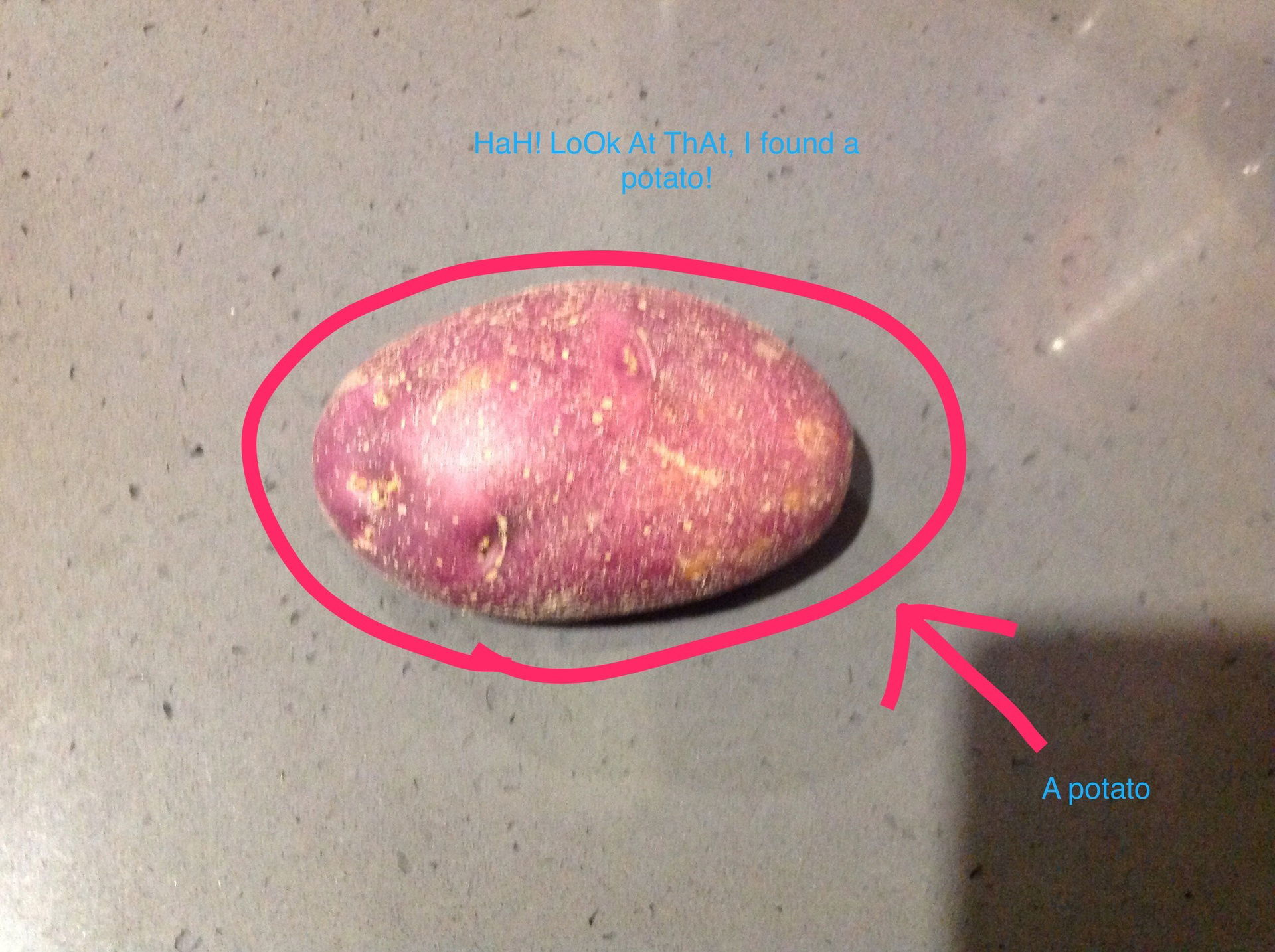 literal potato » builds.gg