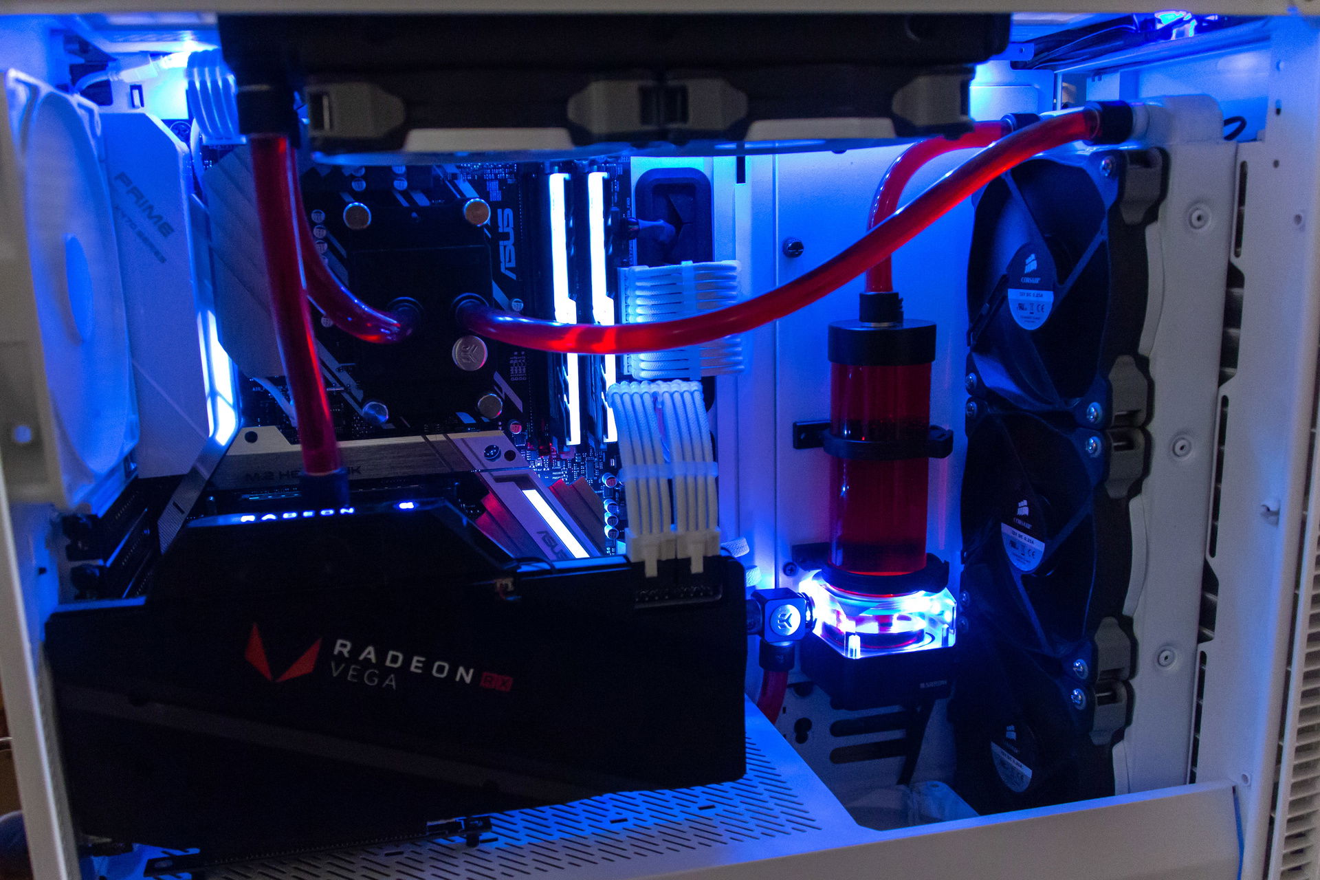 9lz-TeamRed » builds.gg