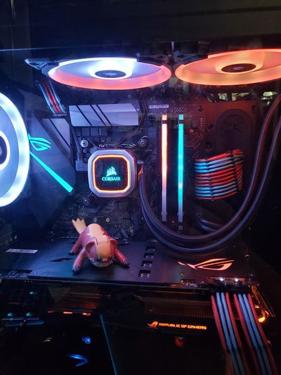 Client Build #56 " Rhopilema " Open waterway case build. » builds.gg