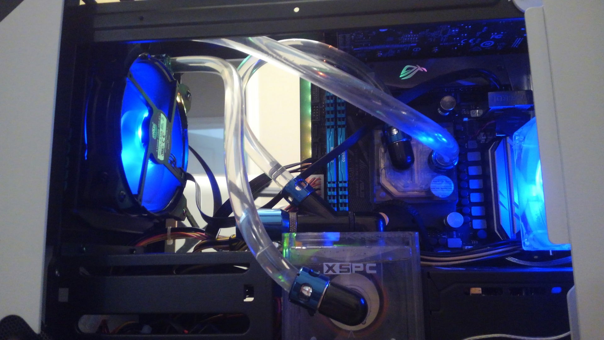 the Mini » builds.gg