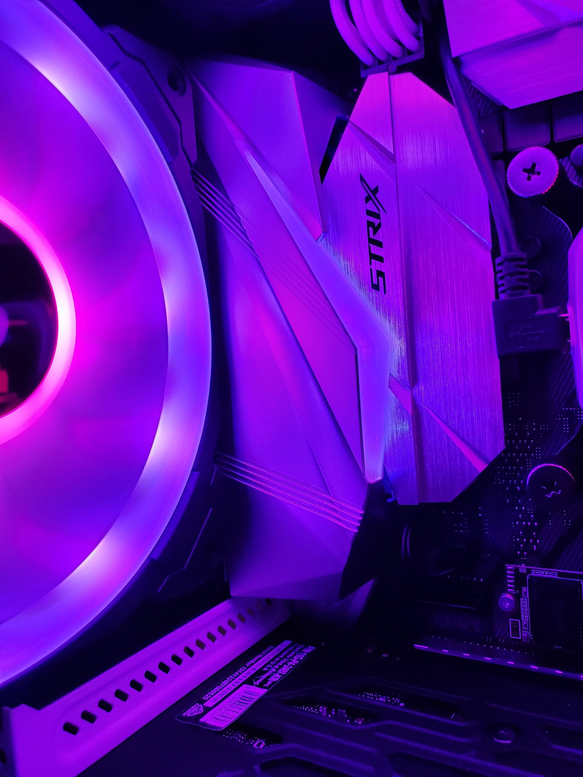 Purple Rain » builds.gg