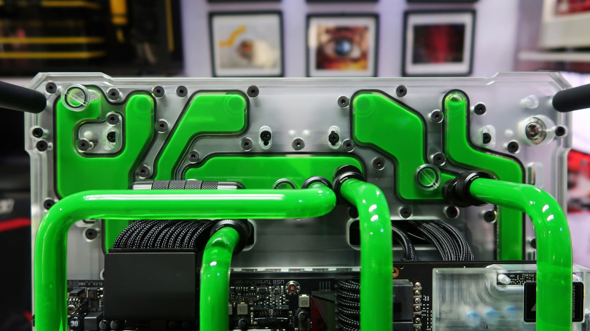 Client Build #56 " Rhopilema " Open waterway case build. » builds.gg