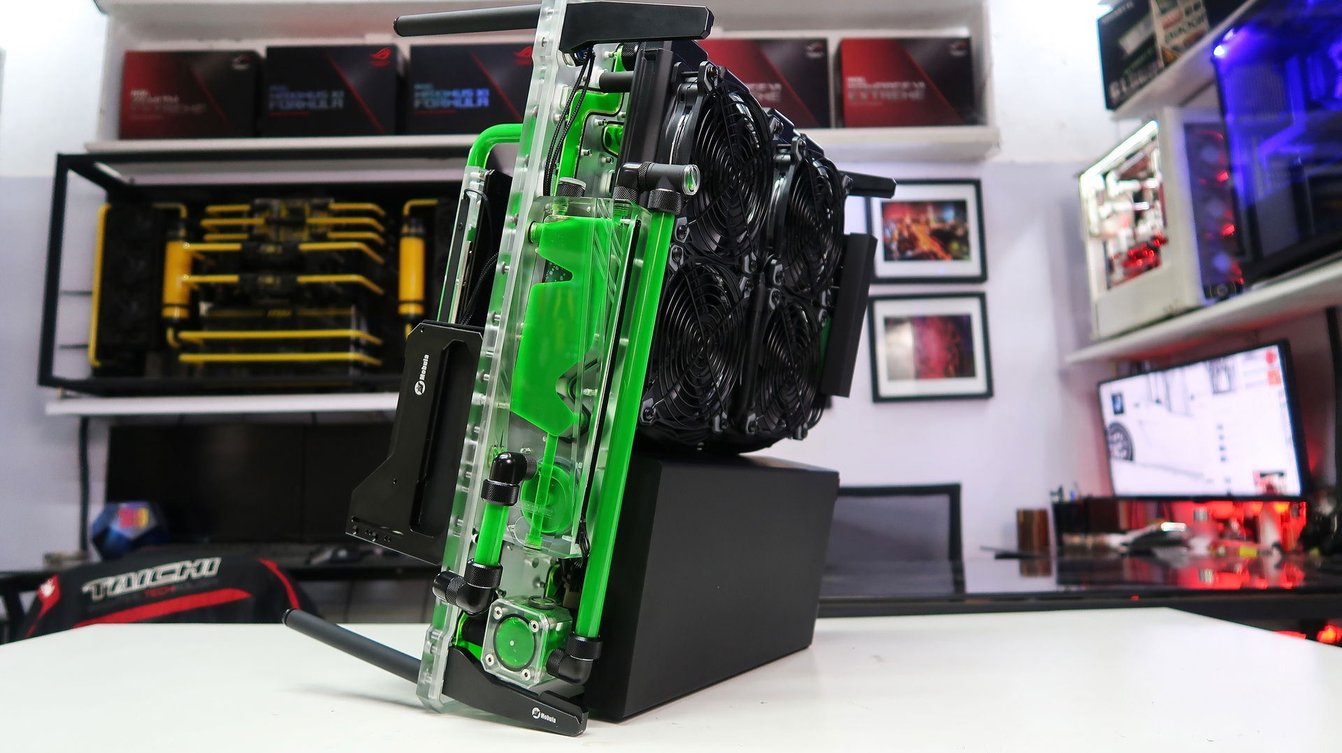 Client Build #56 " Rhopilema " Open waterway case build. » builds.gg