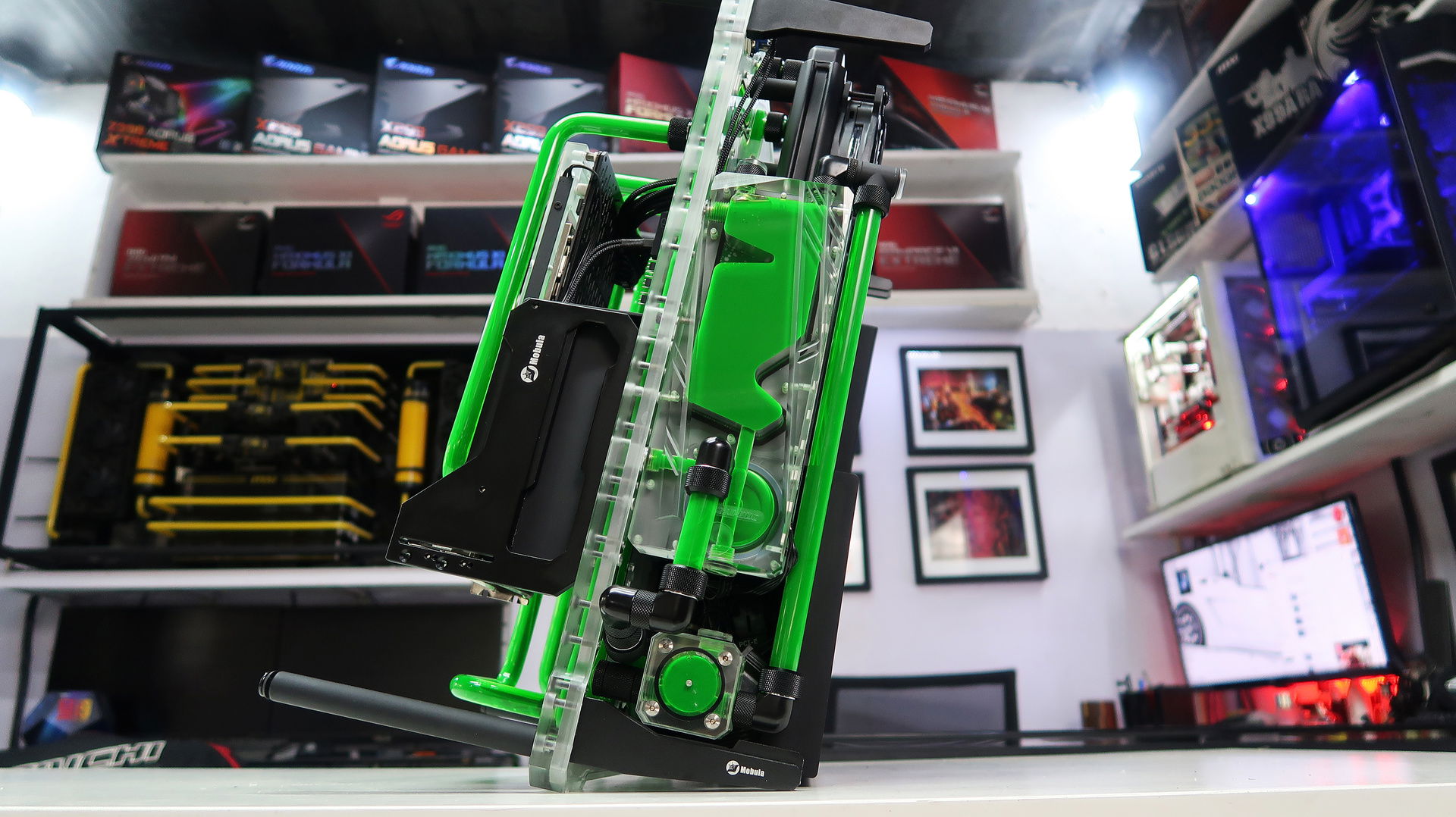 Client Build #56 " Rhopilema " Open waterway case build. » builds.gg