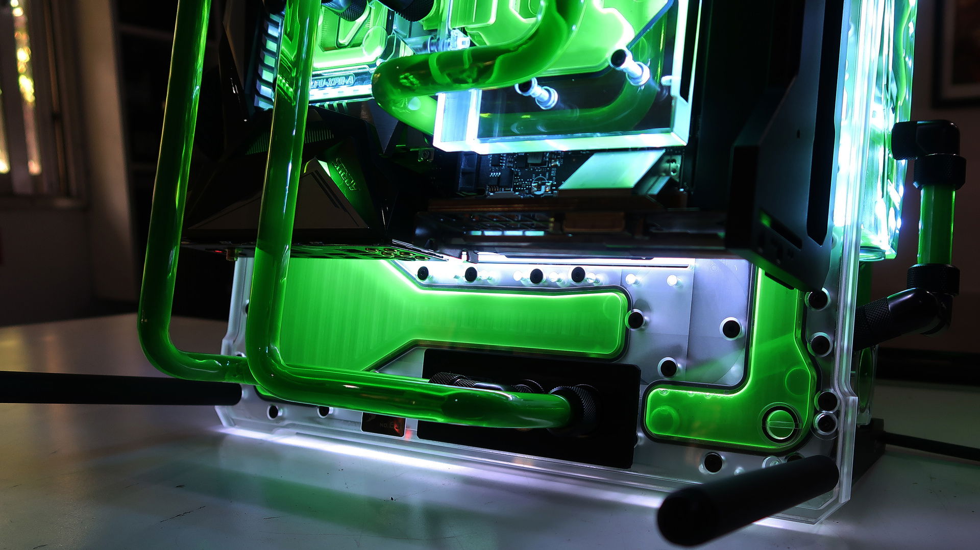 Client Build #56 " Rhopilema " Open waterway case build. » builds.gg