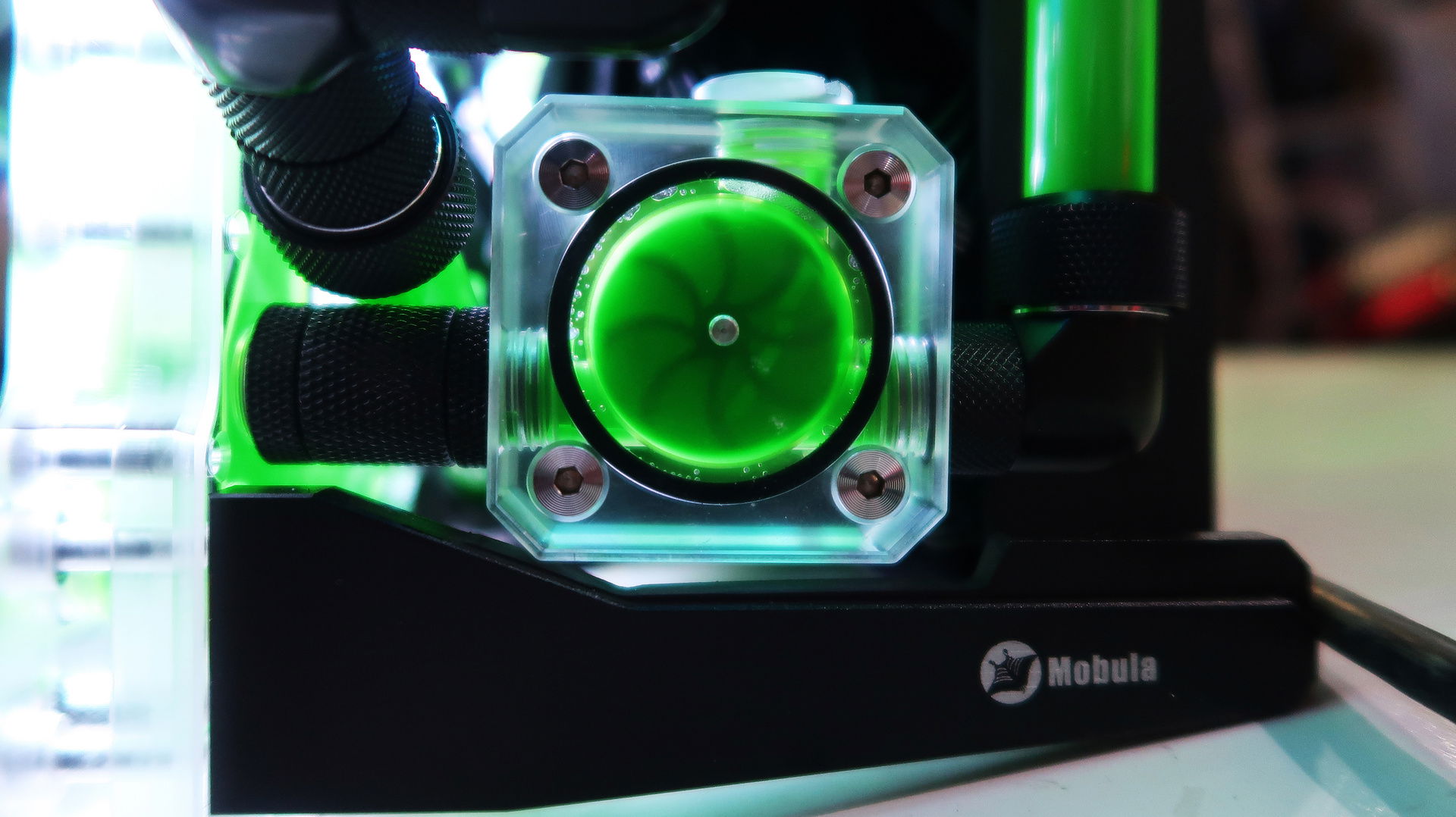 Client Build #56 " Rhopilema " Open waterway case build. » builds.gg