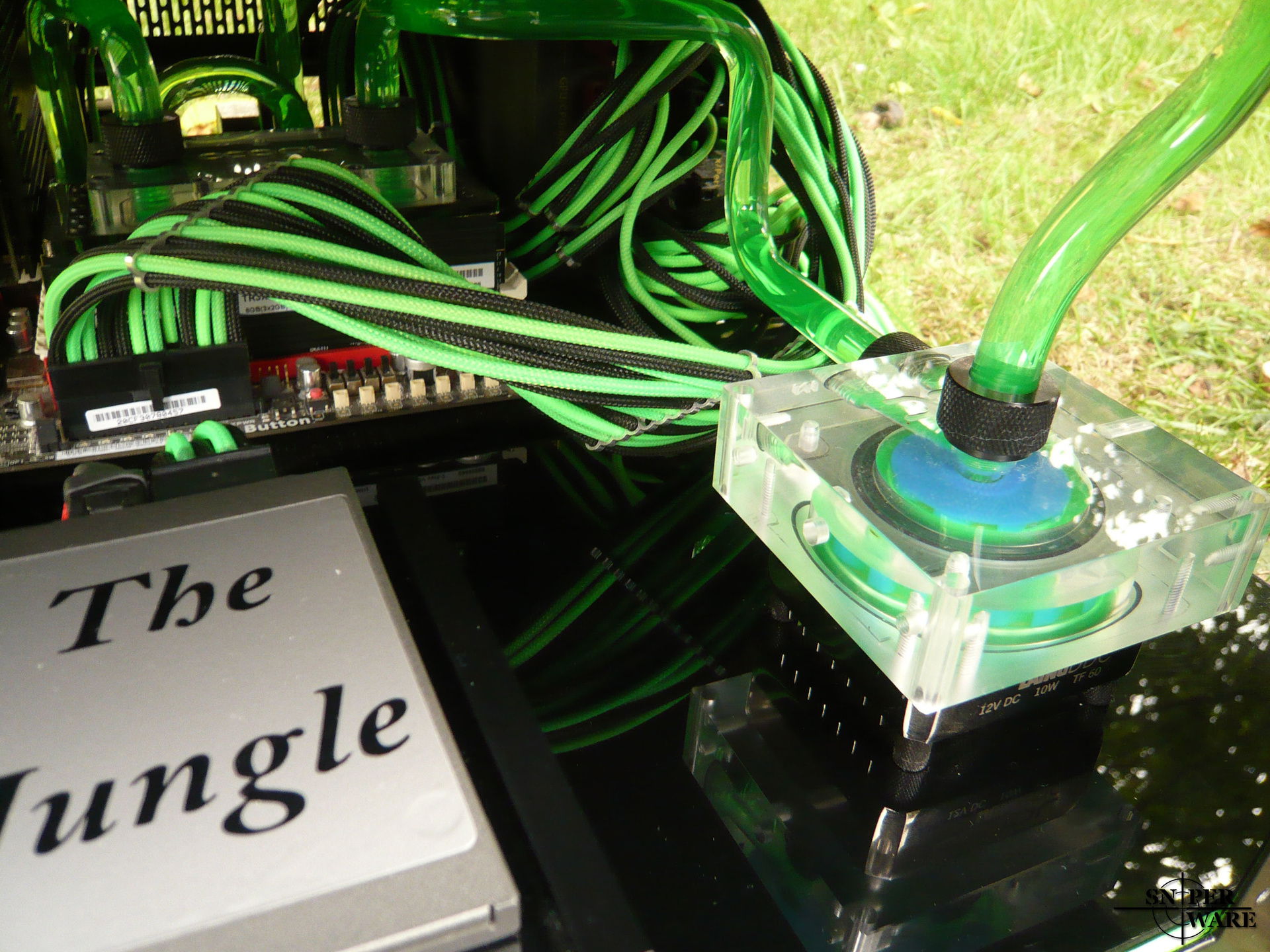 The Jungle » builds.gg