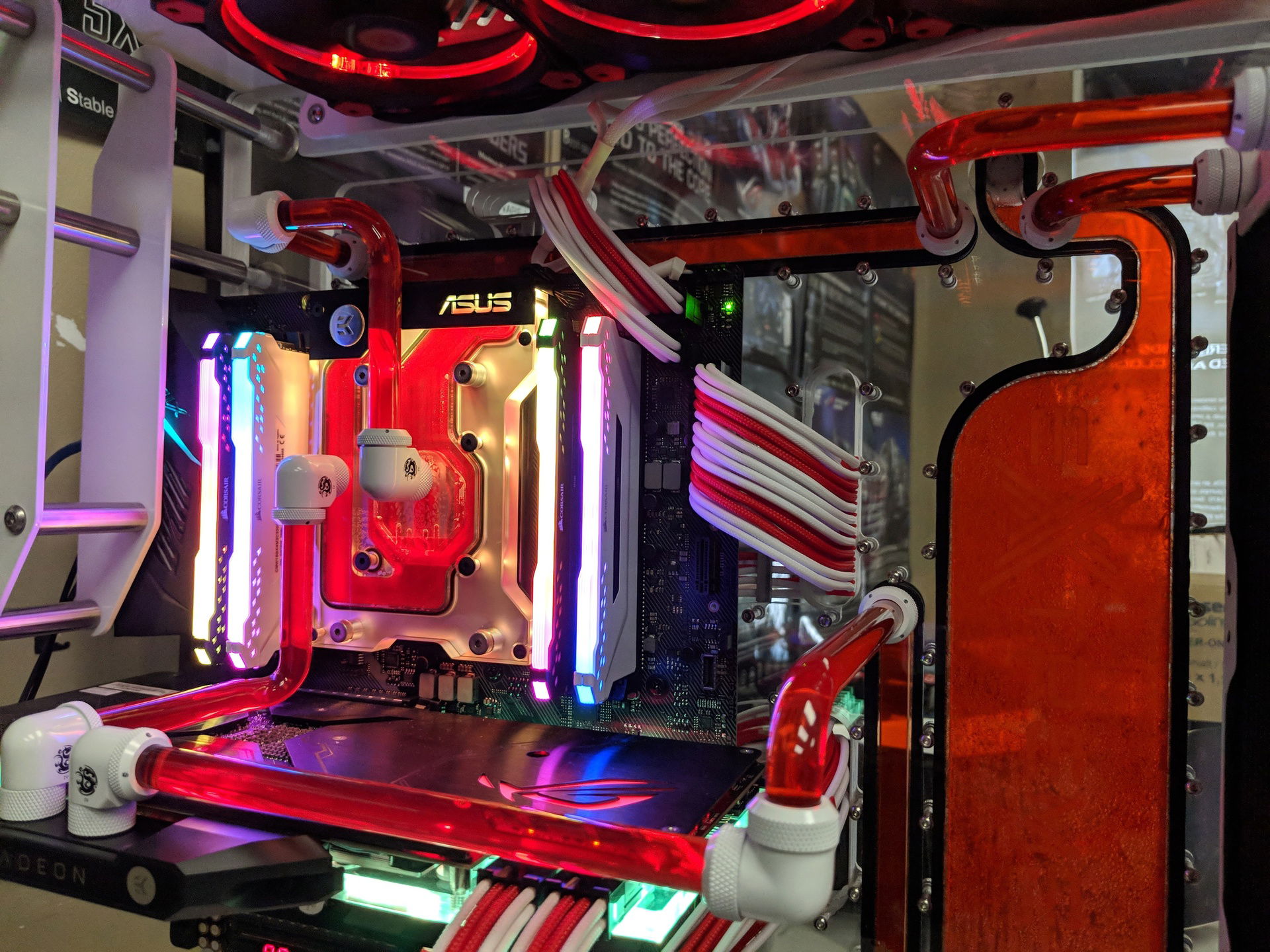 My 1st SPECTRE Build » builds.gg