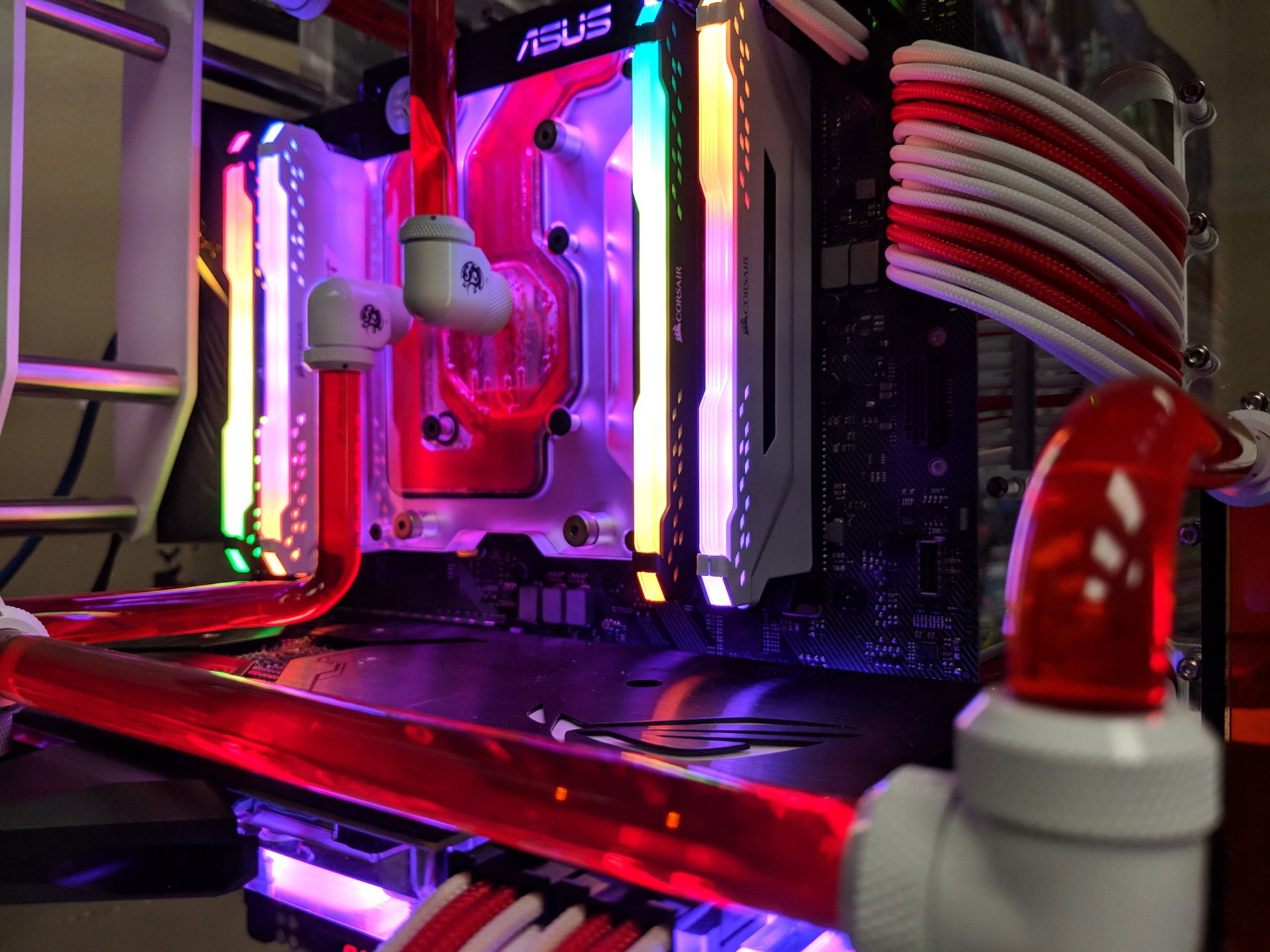 My 1st SPECTRE Build » builds.gg