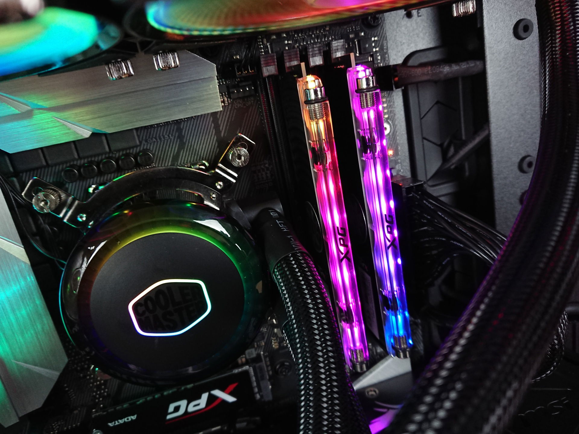 TB RIG DUKE » builds.gg