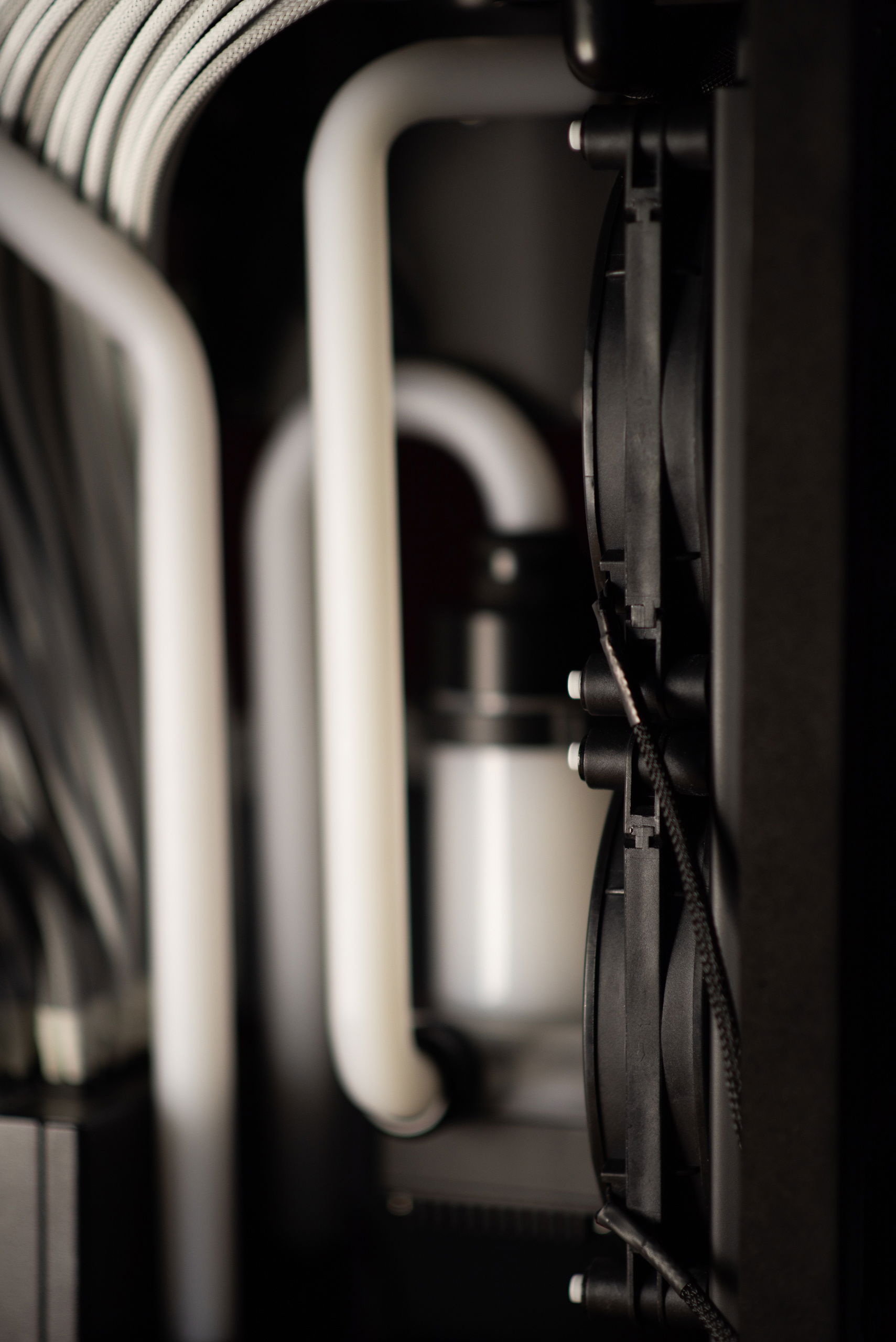 White crown citadel » builds.gg