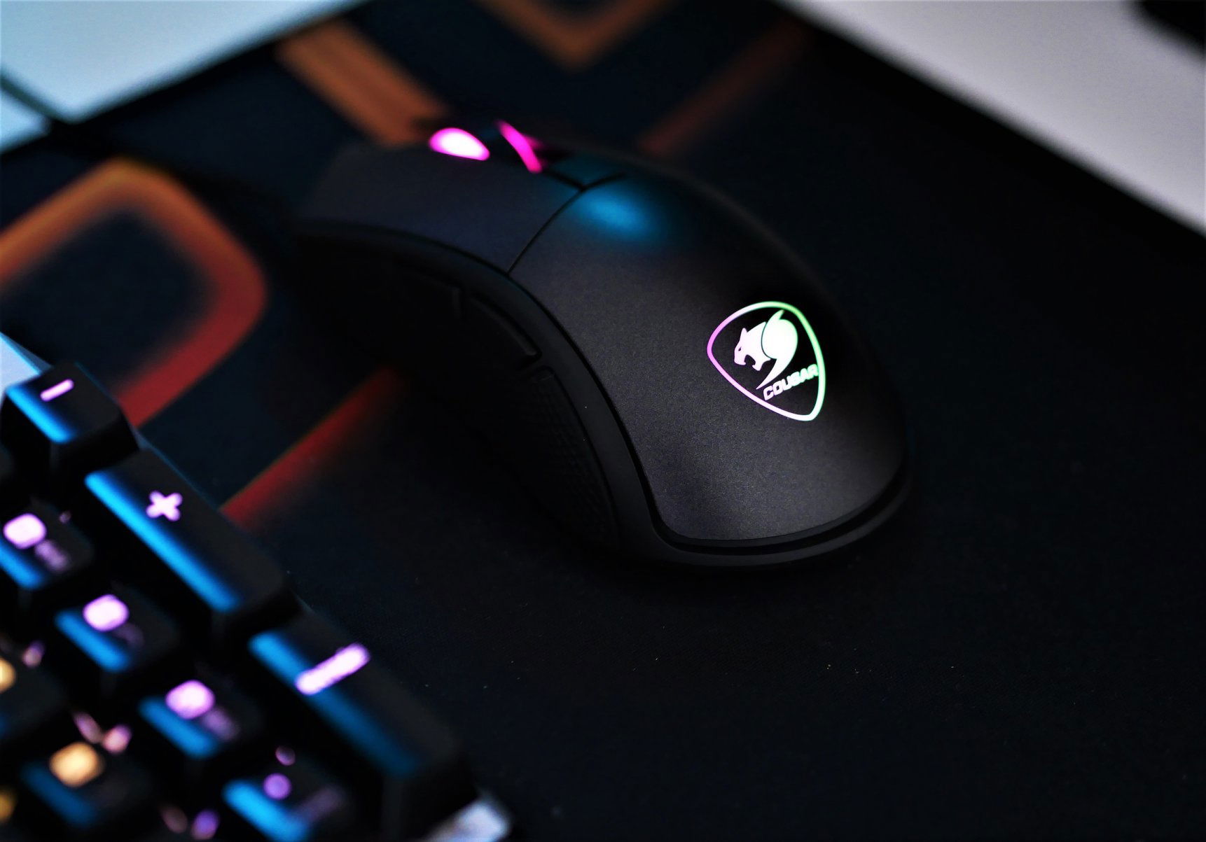 Cougar Gaming » builds.gg