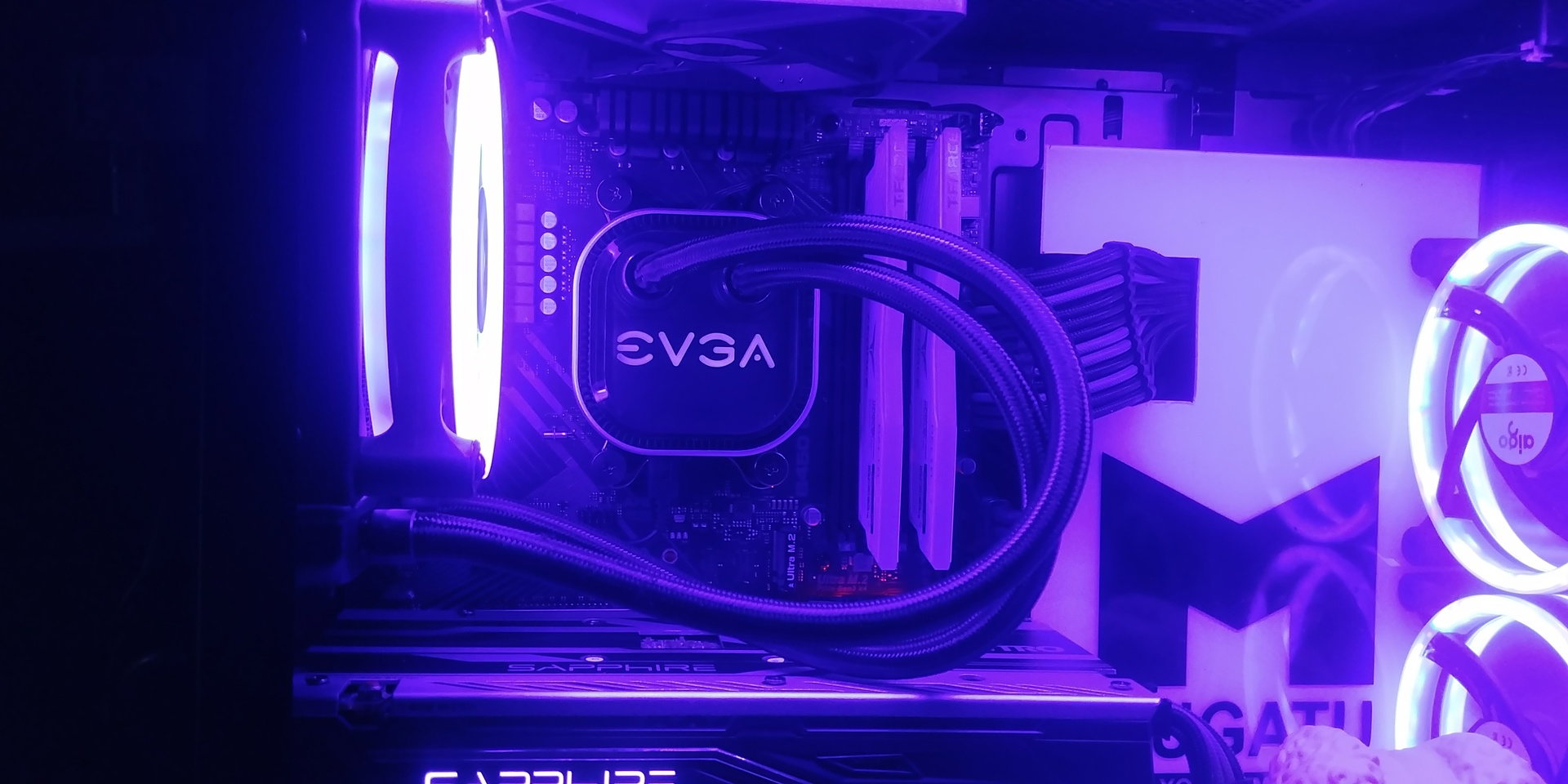 Phantkes Mugatu Build » builds.gg