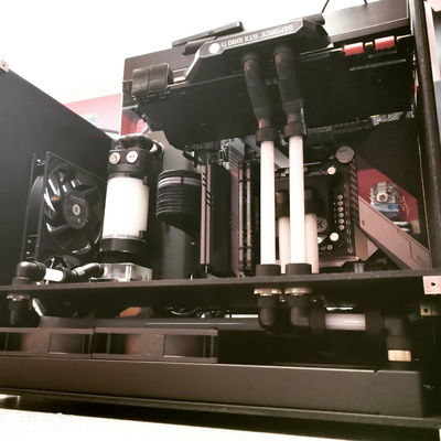 Red and Hot Arctic Build » builds.gg