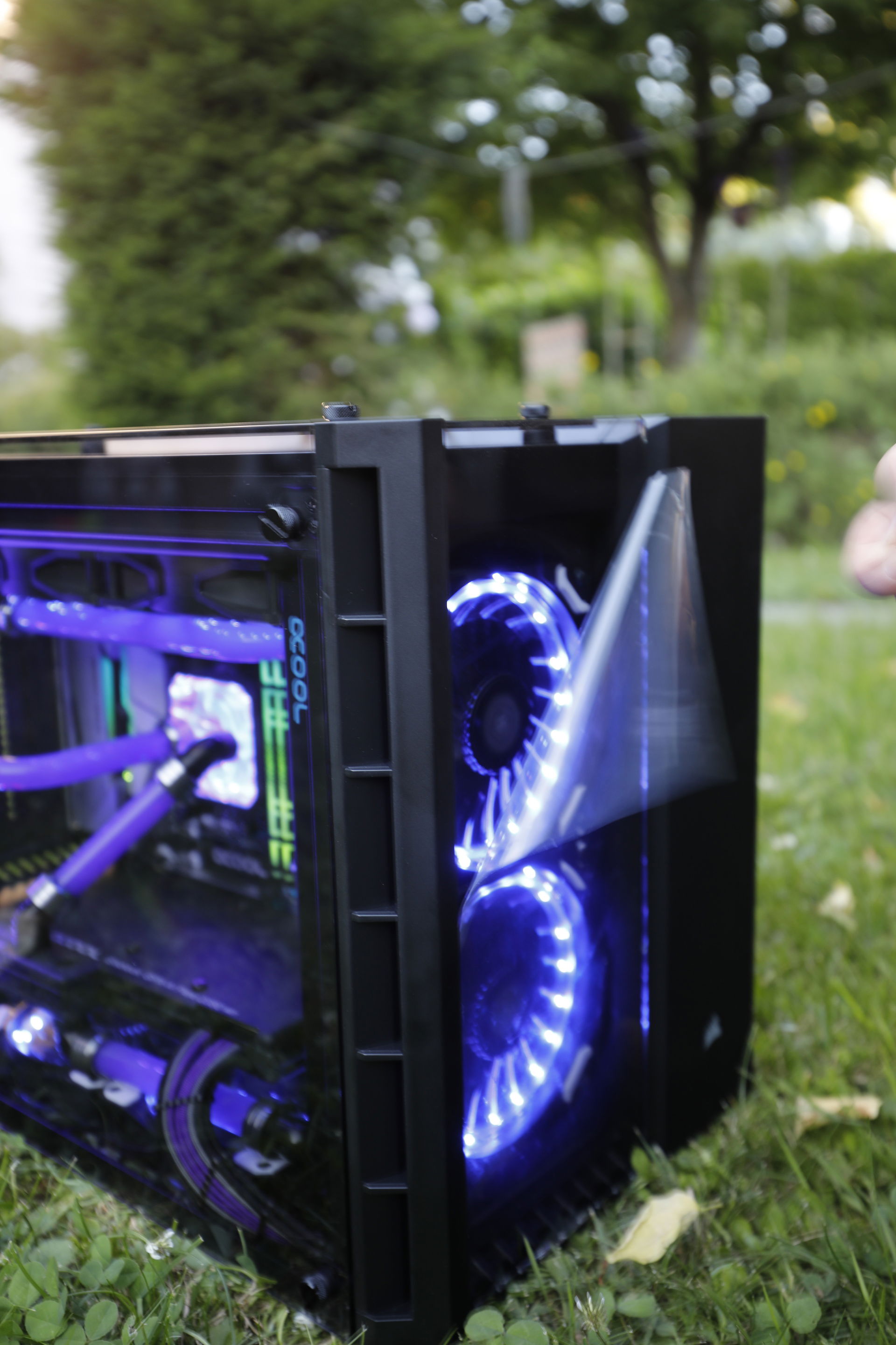 Clean Purple » builds.gg