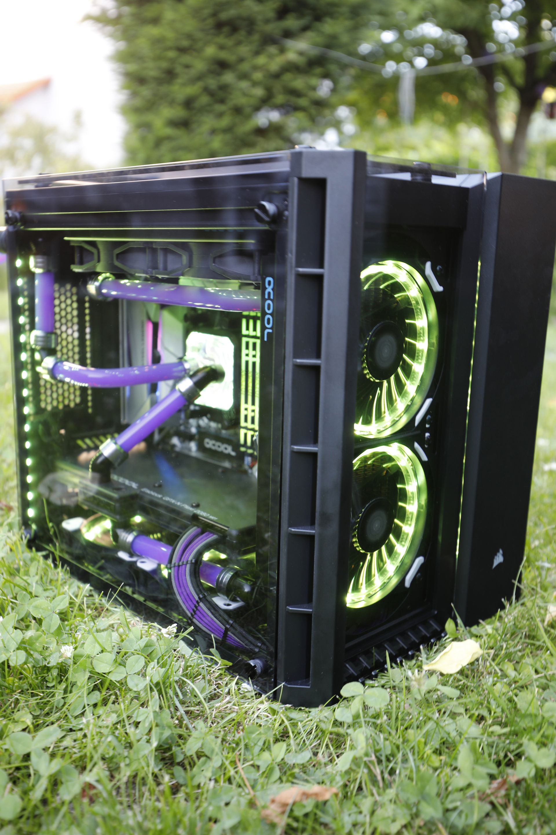 Clean Purple » builds.gg